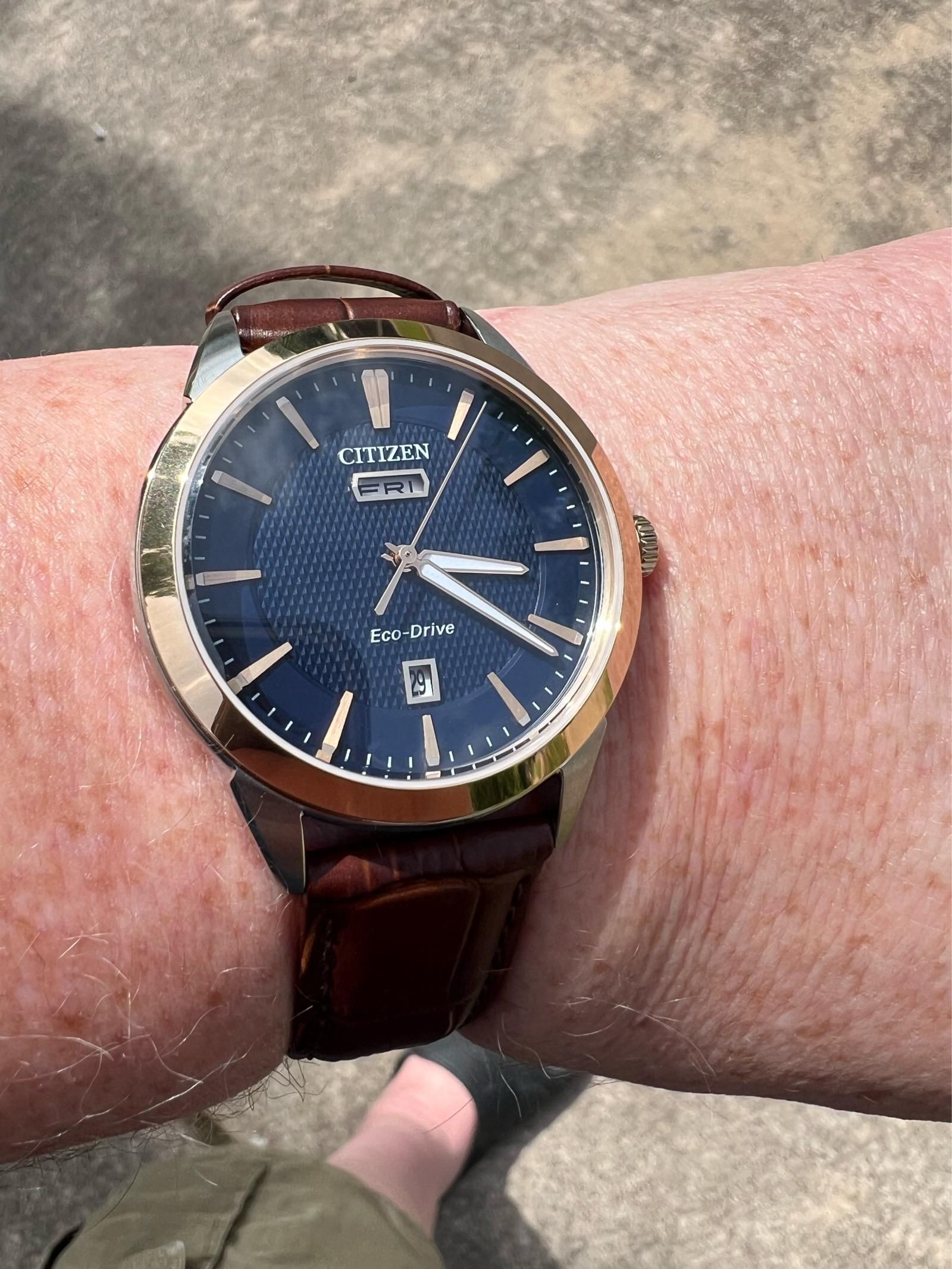New Rolan Citizen Watch | WatchCrunch
