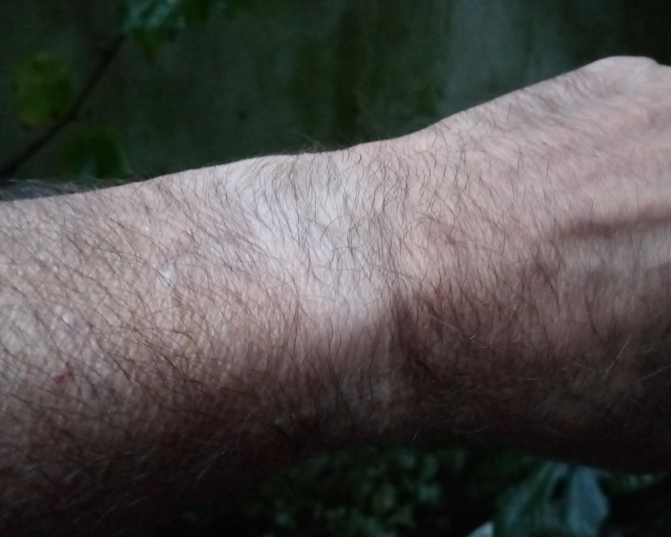 How to Disrupt the Watch World: The Phantom Chronos Invisible | WatchCrunch