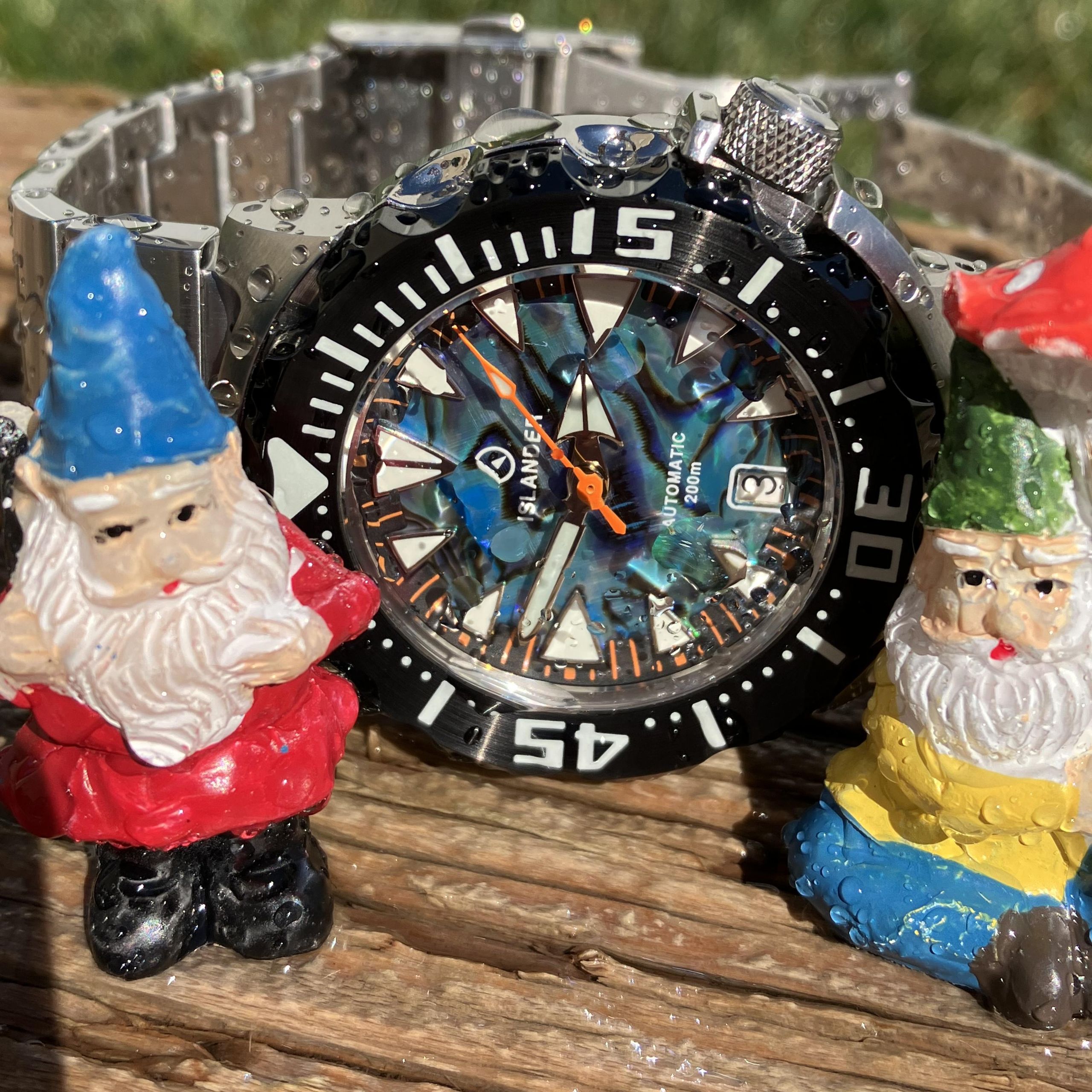 Islander Abalone ‘Monster’ Review | WatchCrunch