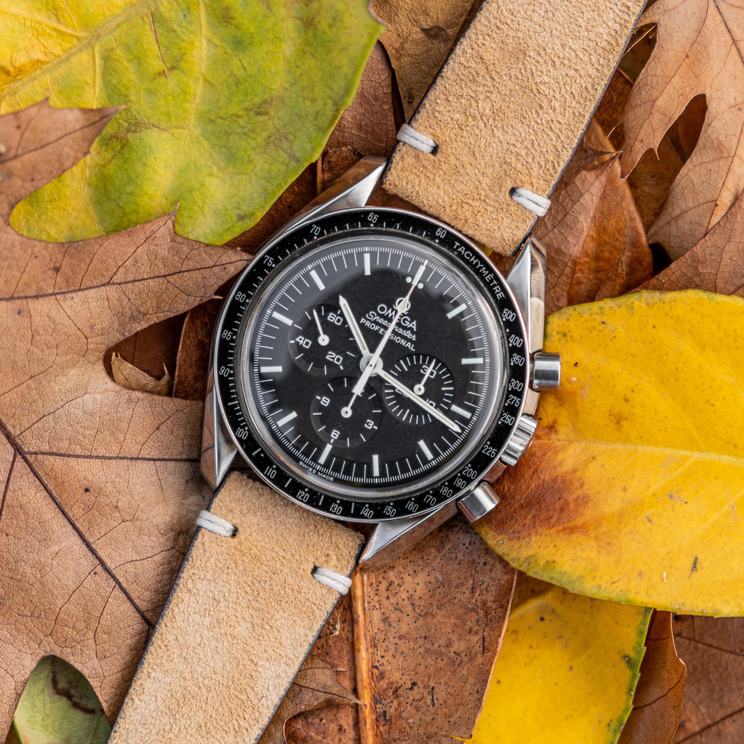 Autumn Watch Photo Challenge: Timepieces & Leaves | WatchCrunch