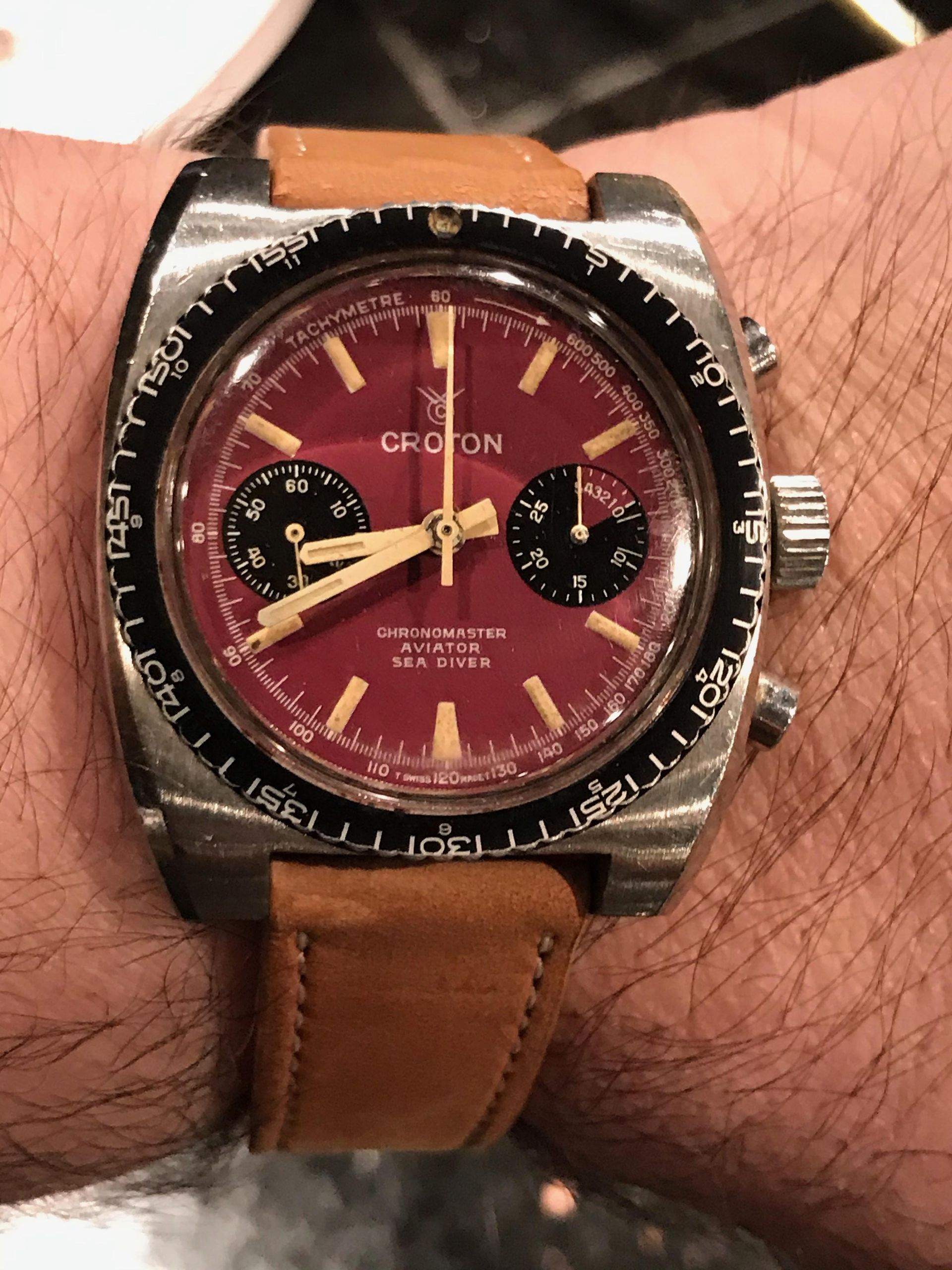 Any other fans of Croton out there? Show us your Crotons! | WatchCrunch
