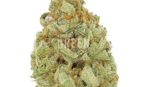 Green Therapy (@greentherapydmv)