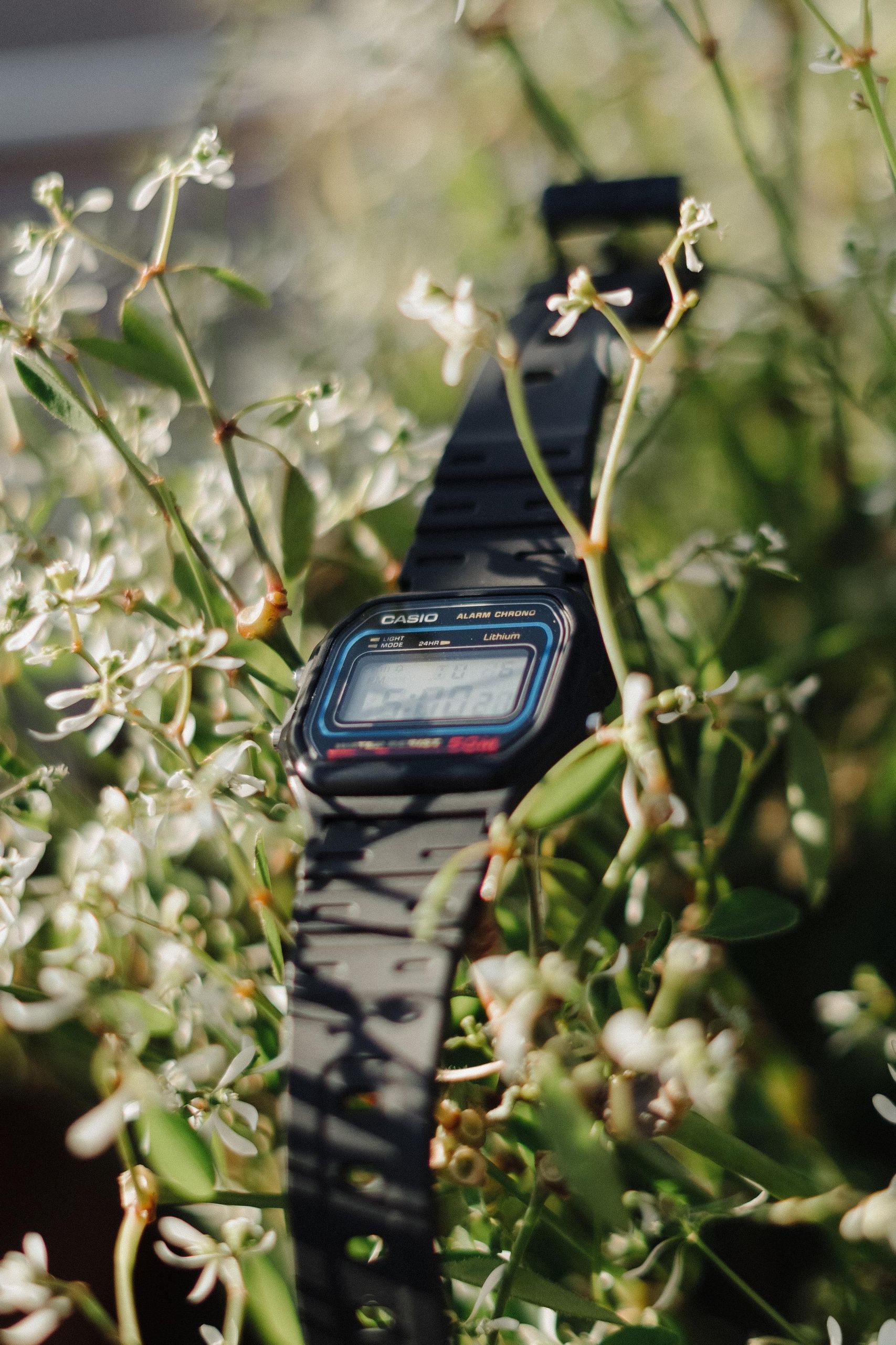 Casio W59 - Sibling to the F91W | WatchCrunch