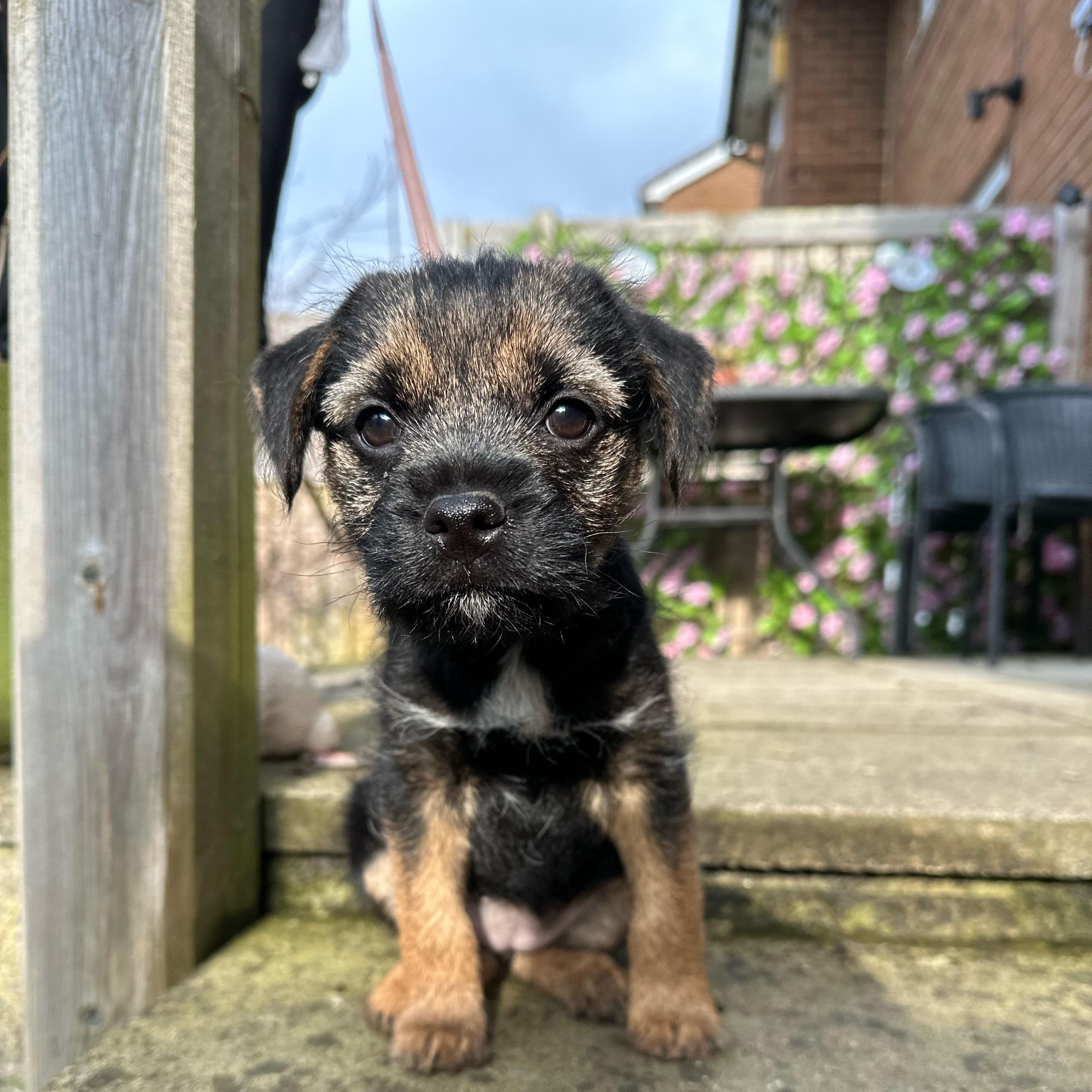 jpsjet74 | WatchCrunch