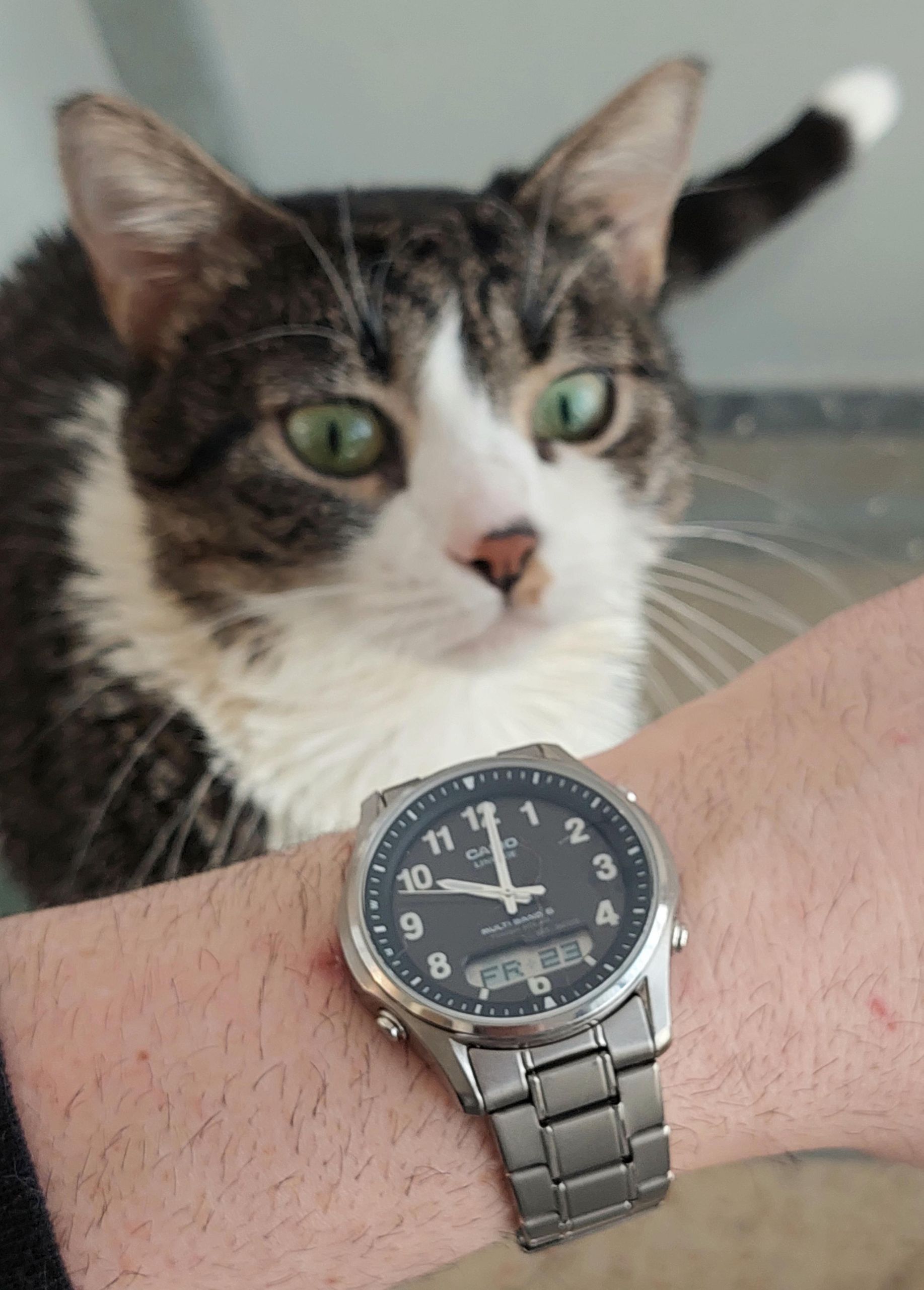 How do they come up with brand names? Because I'm pretty sure Casio was ...