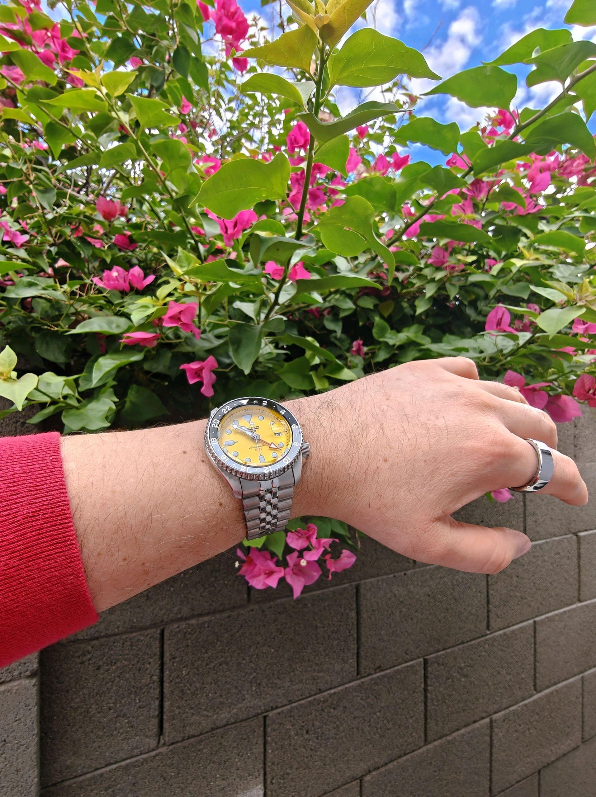 New Watch Alert! 🎉 | WatchCrunch