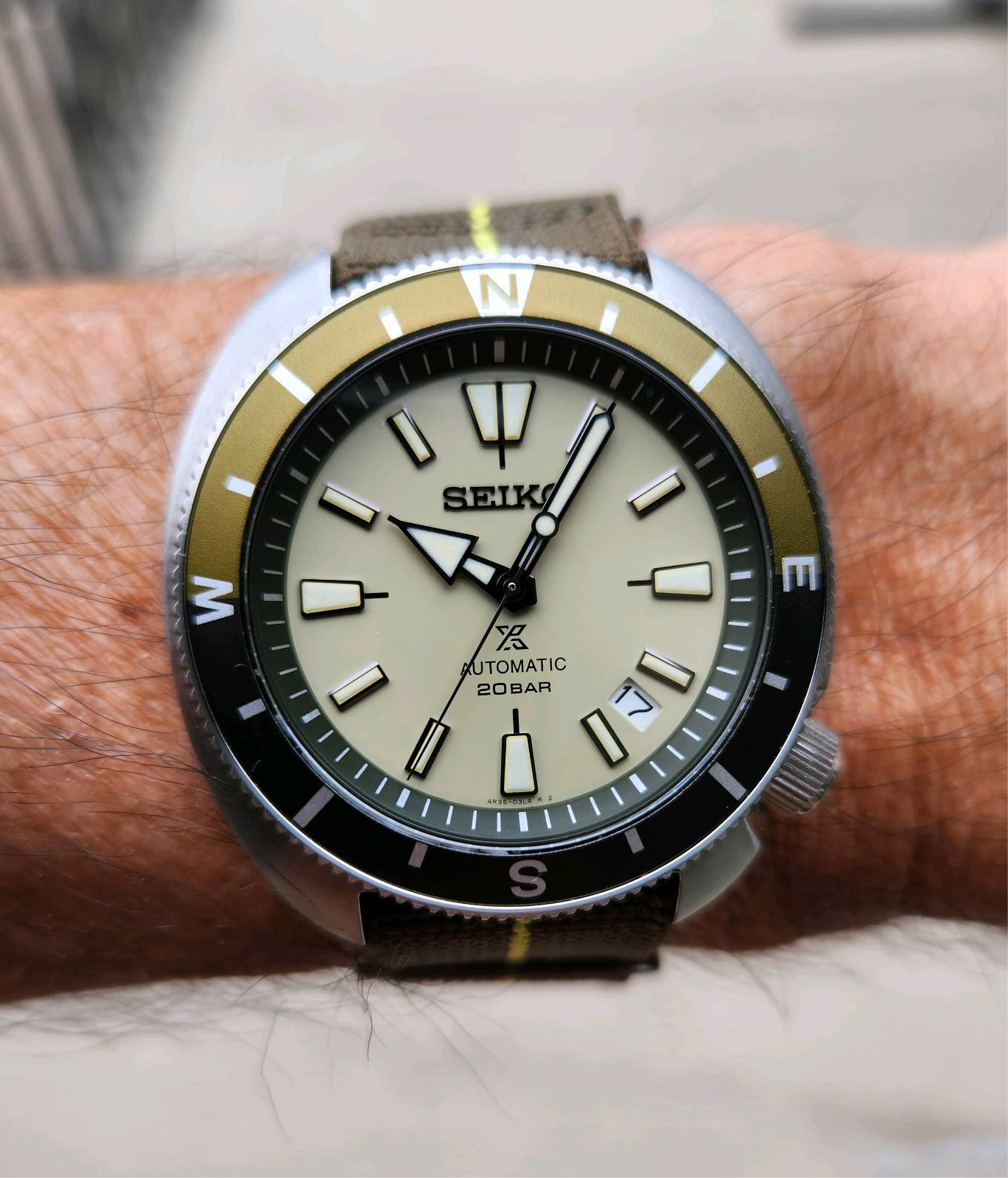 Seiko Land Tortoise | WatchCrunch