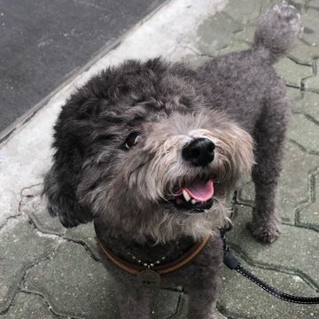 podori | WatchCrunch