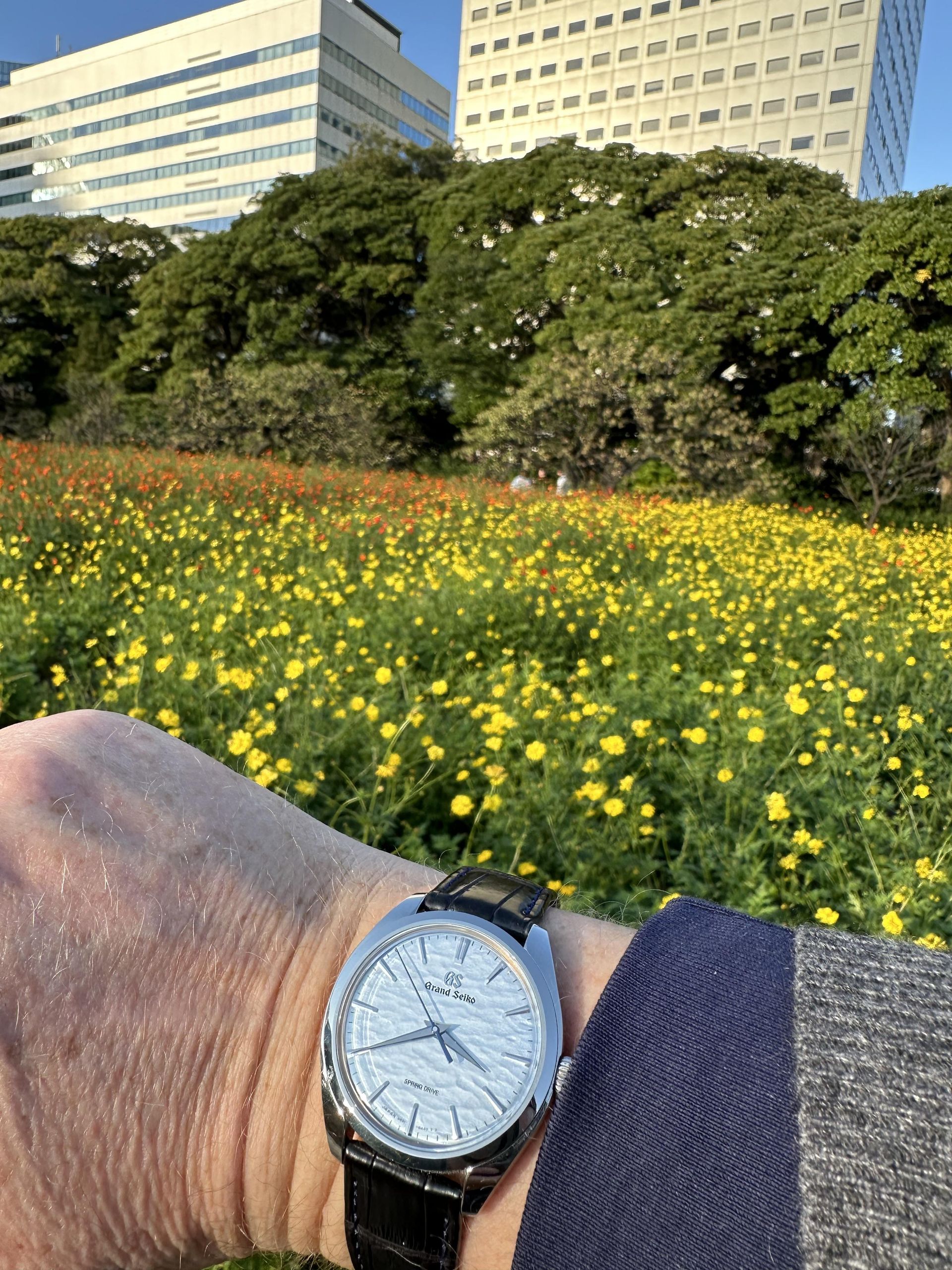 NWA-Grand Seiko Omiwatari | WatchCrunch
