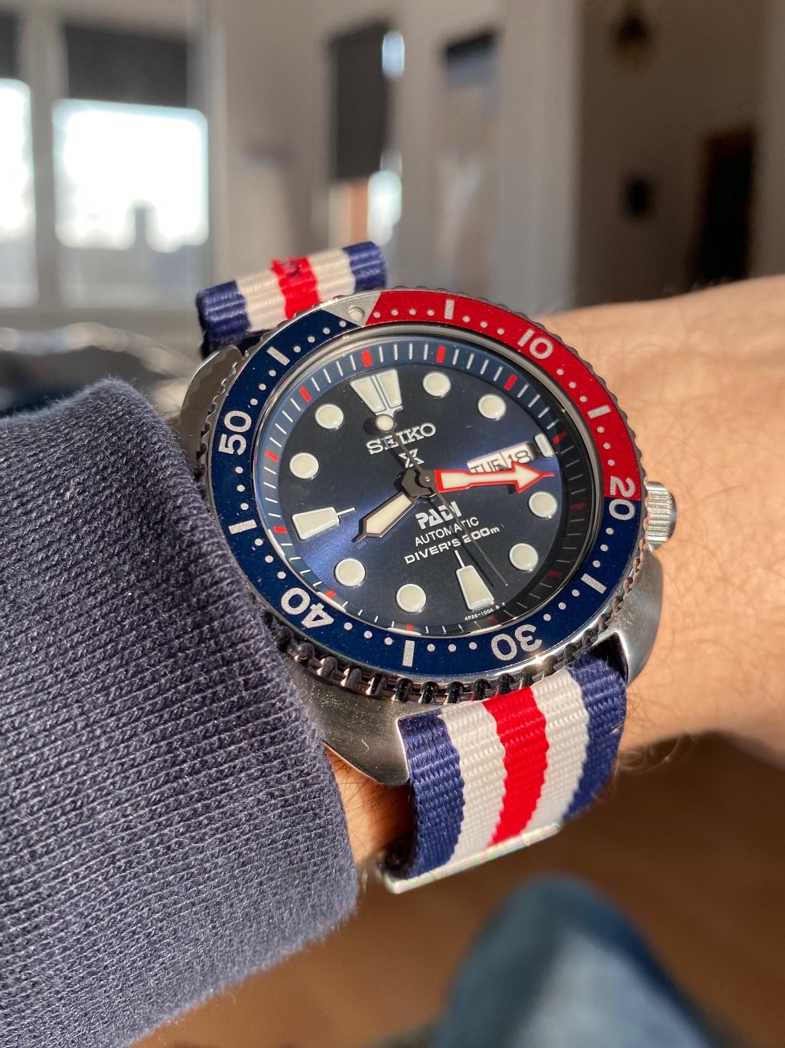 Hello Turtle Watchcrunch