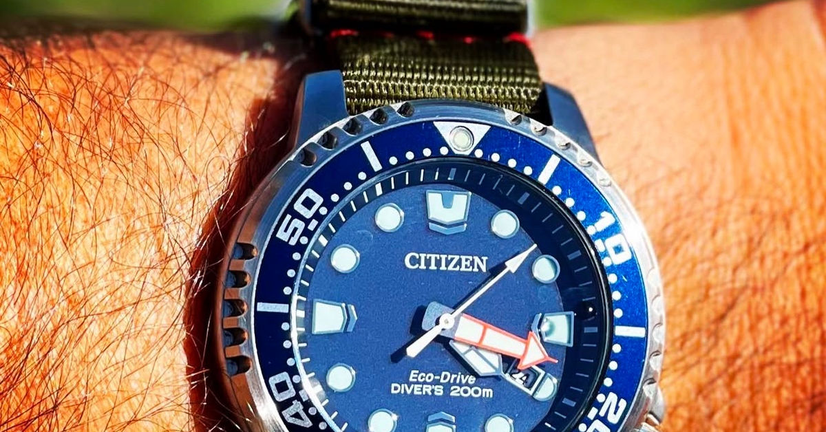 Citizen Pro Master Diver | WatchCrunch
