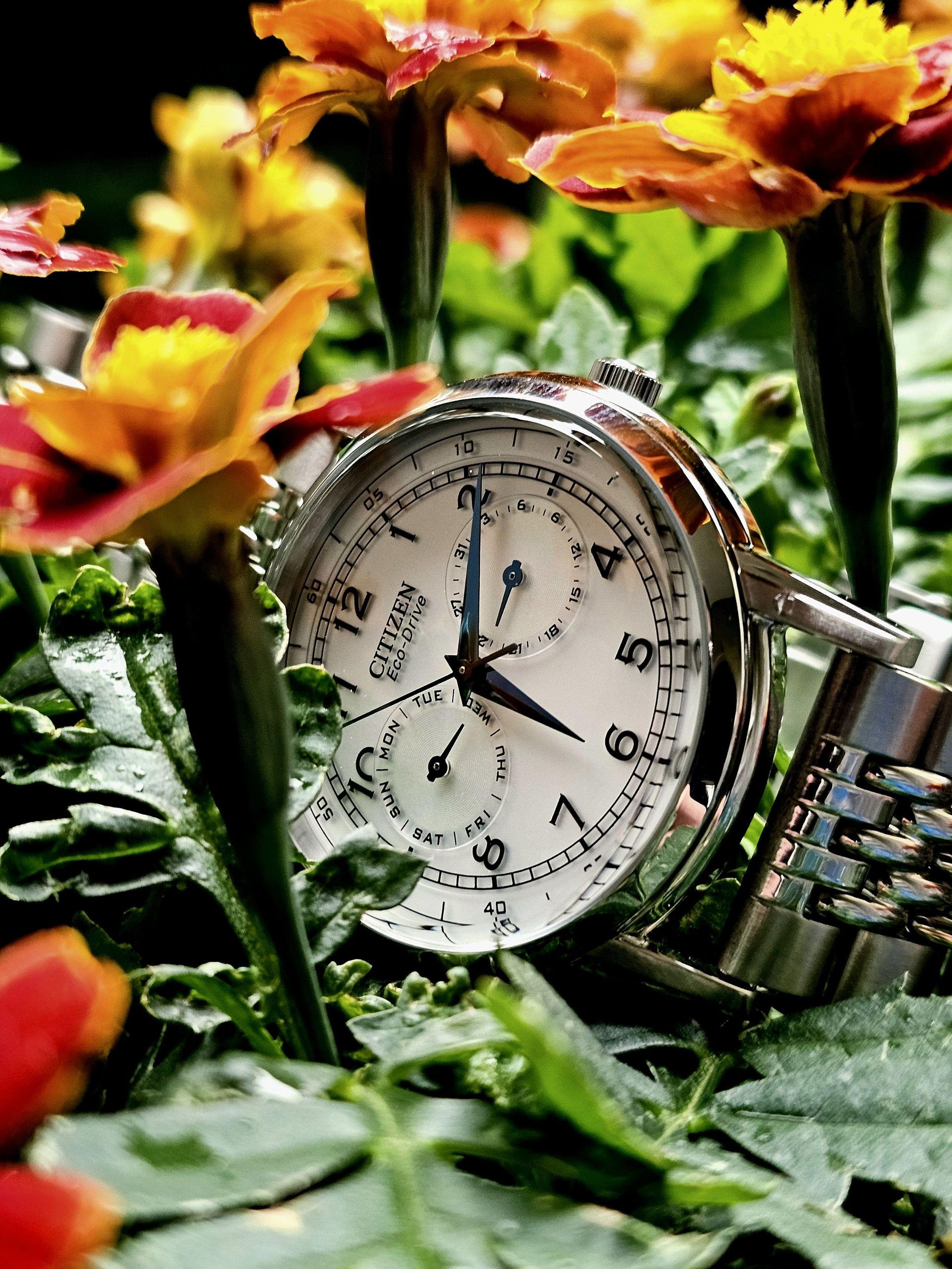 Wristcheck July 23, 2025 | WatchCrunch