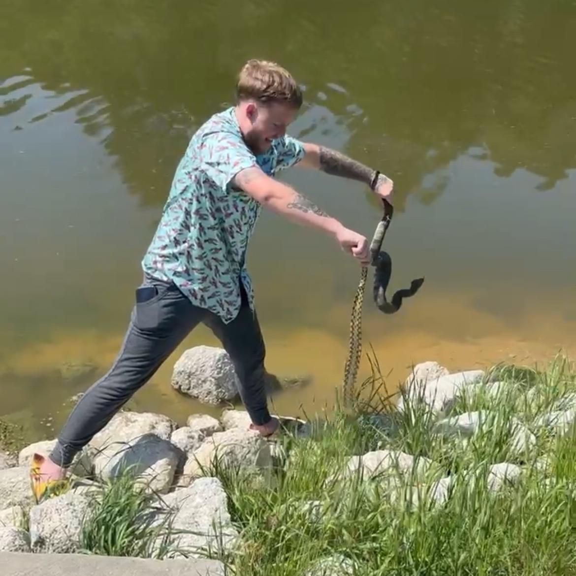 reptiwatch | WatchCrunch