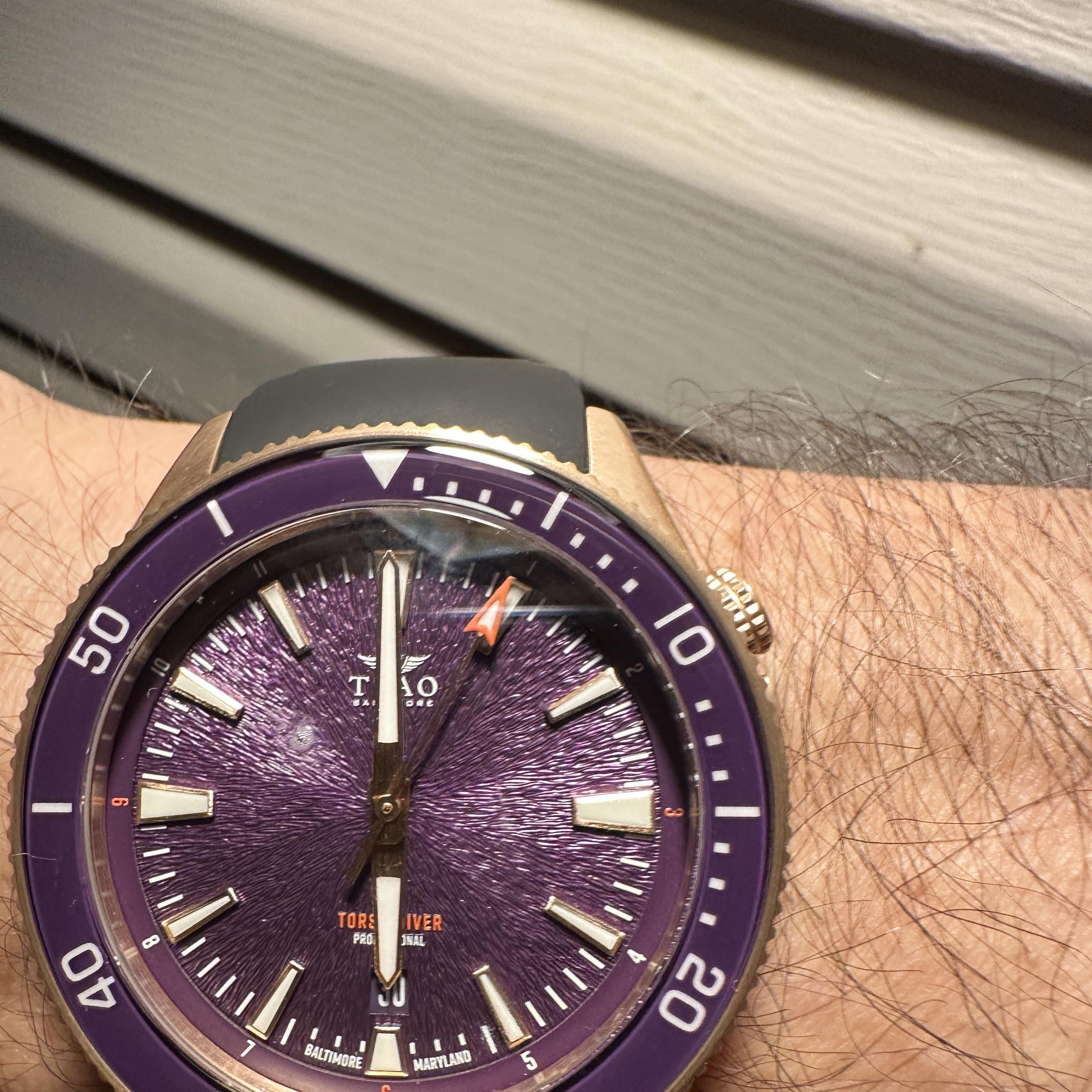 Wristcheck January 30, 2025 | WatchCrunch
