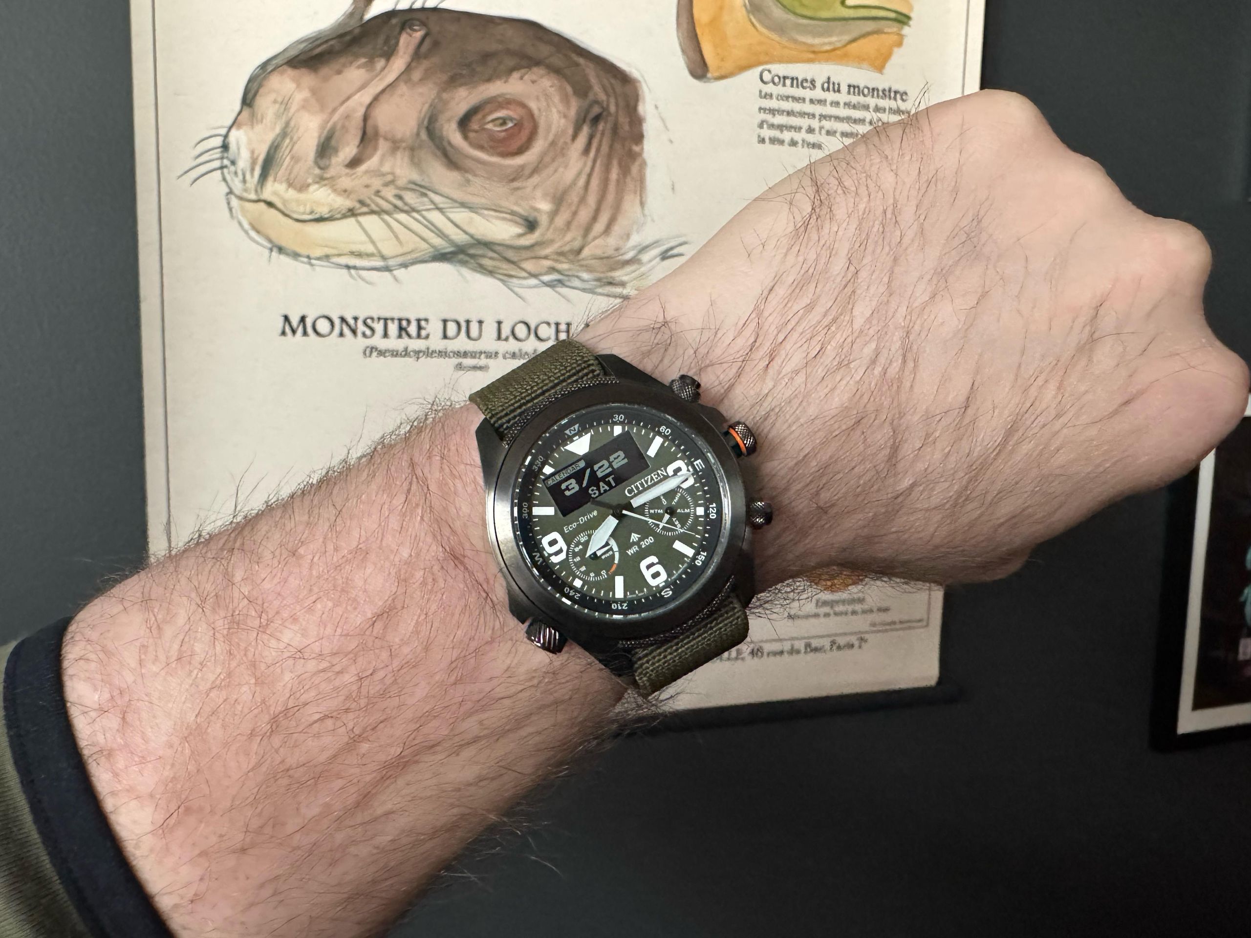 Citizen Promaster Land U822 Green | WatchCrunch