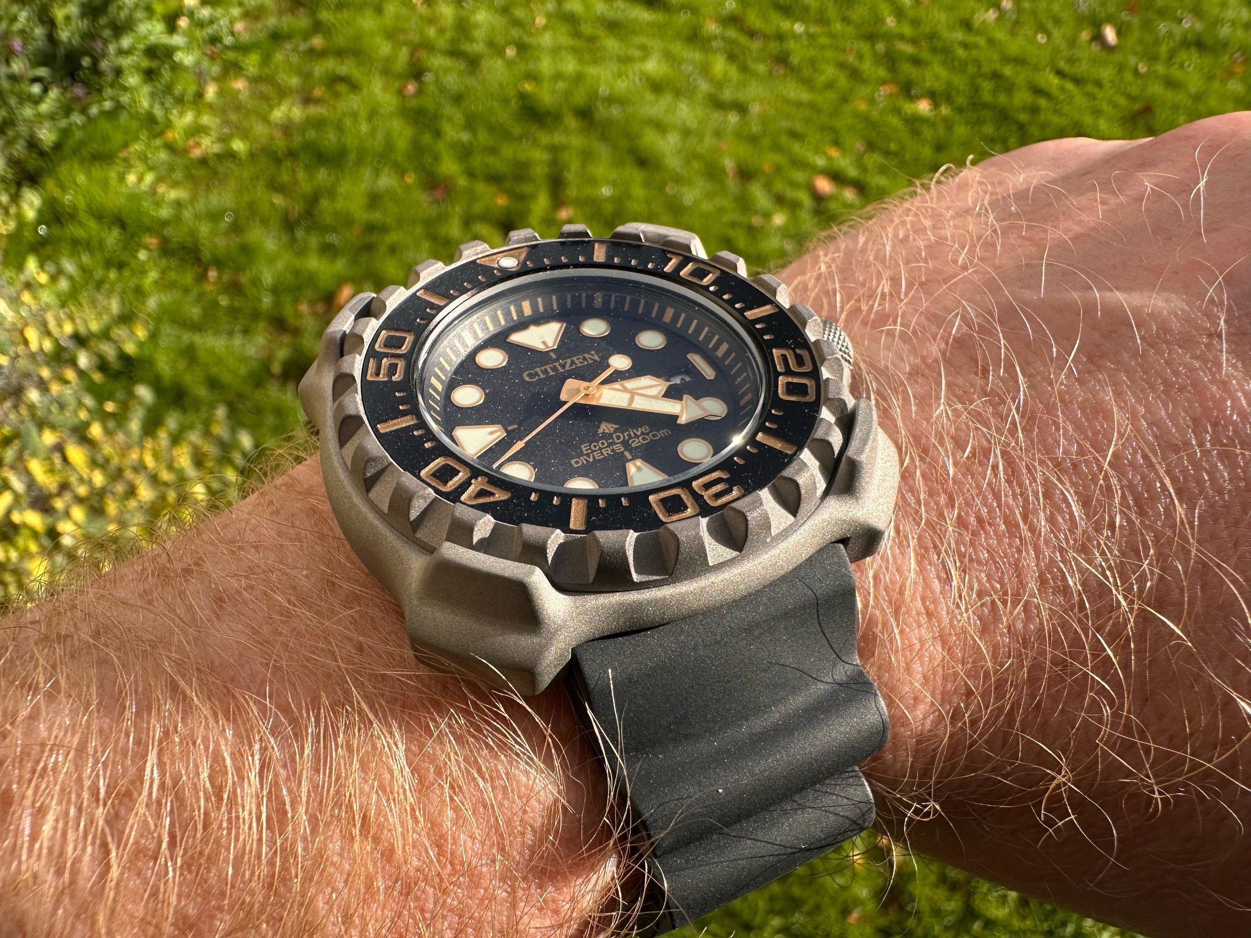 Citizen Promaster BN0227-25X | WatchCrunch