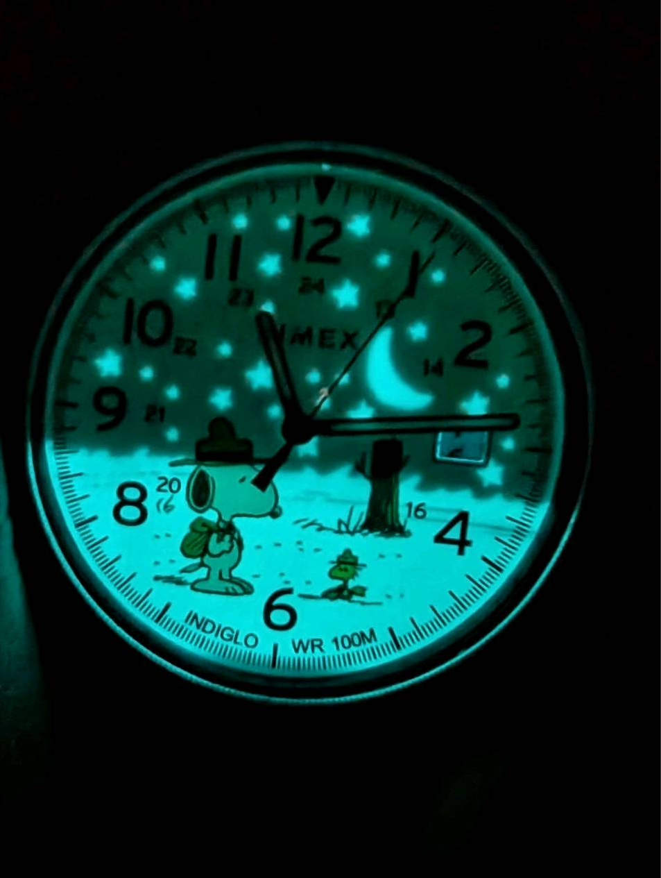 Timex Expedition x Peanuts Beagle Scout | WatchCrunch