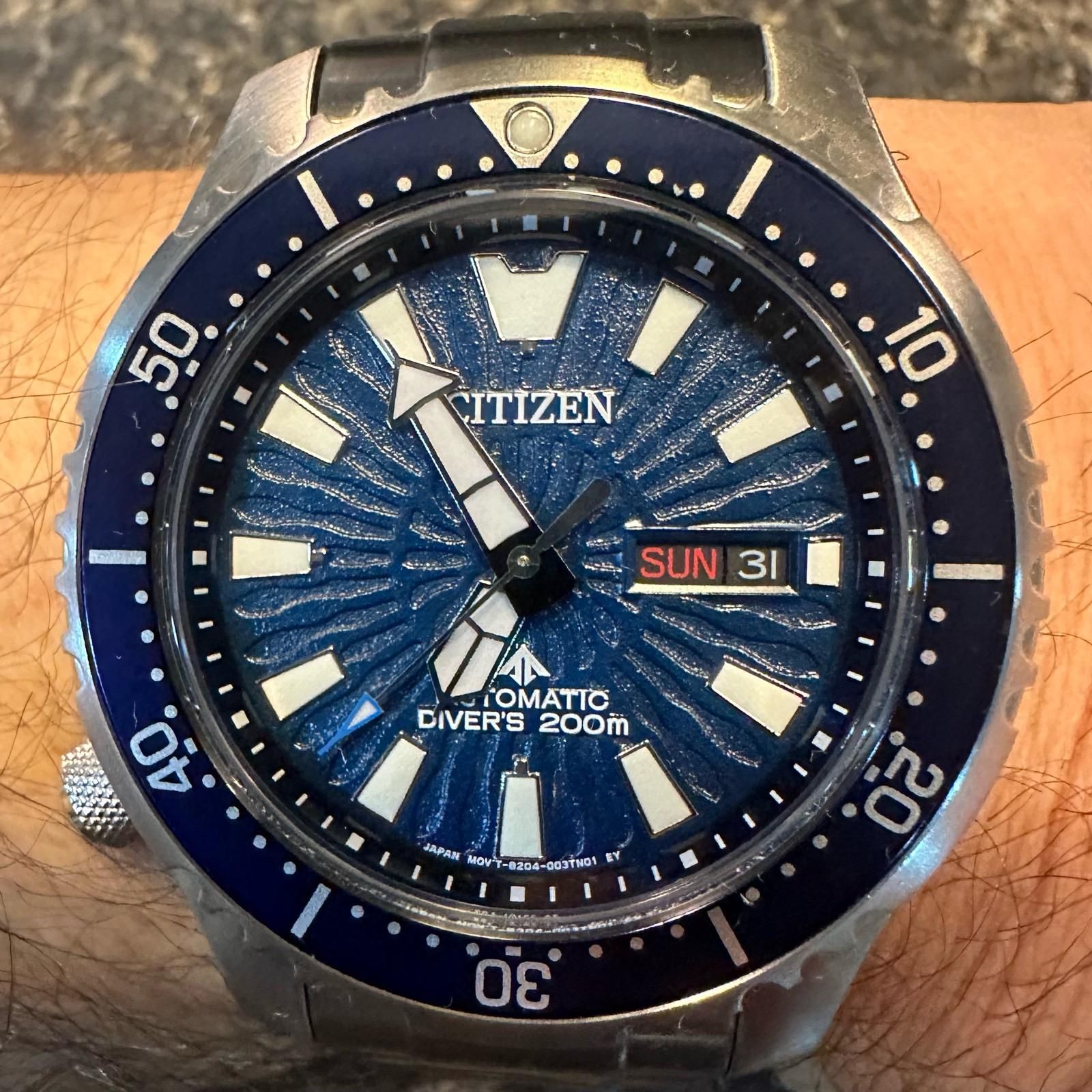 Citizen Automatic Promaster | The Good, the Gooder, and the Goodest ...