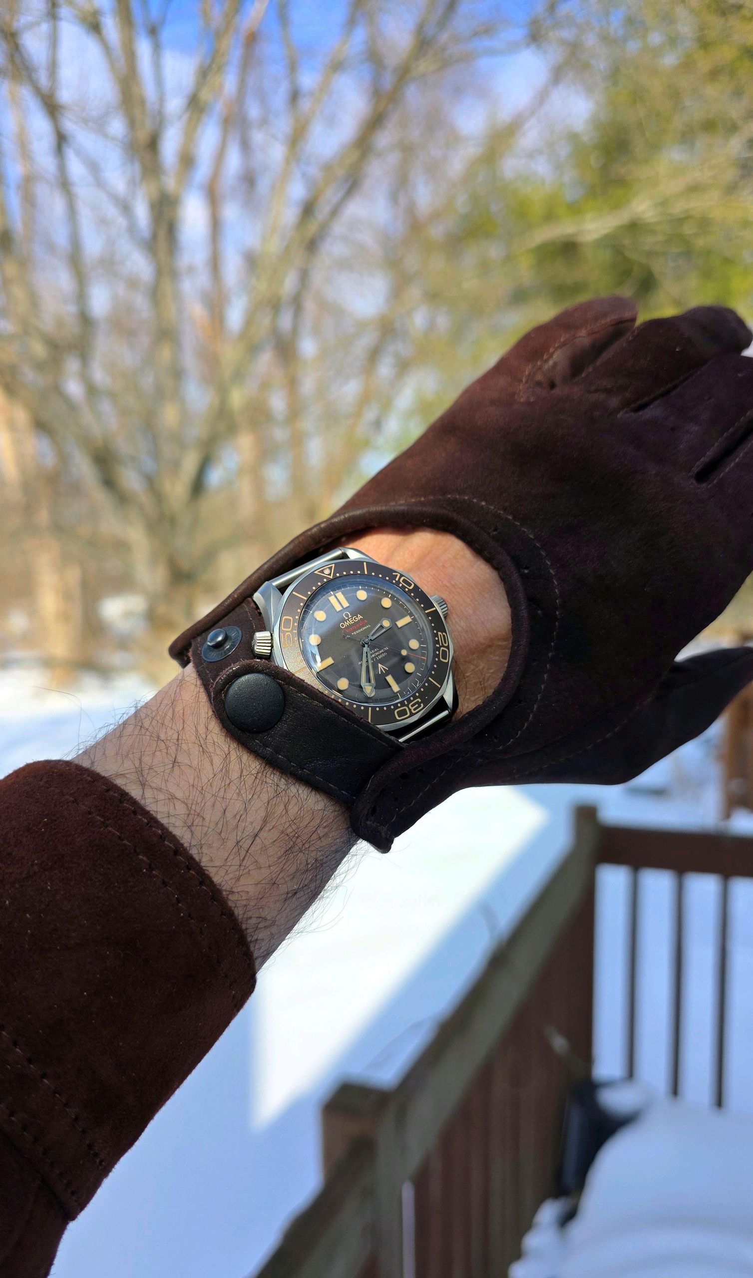 The BEST Omega SM - Ever (for me) | WatchCrunch