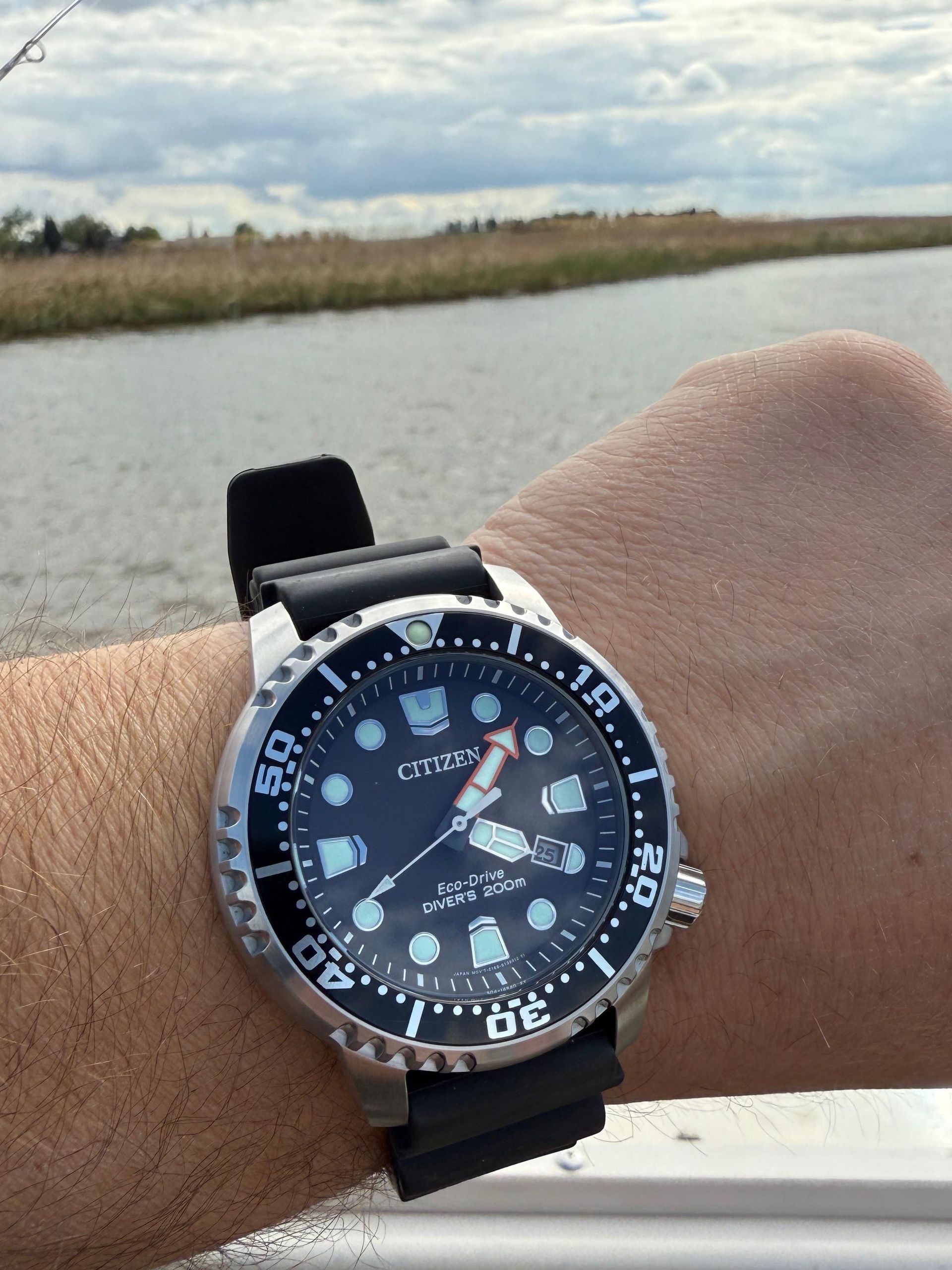 citizen promaster | WatchCrunch