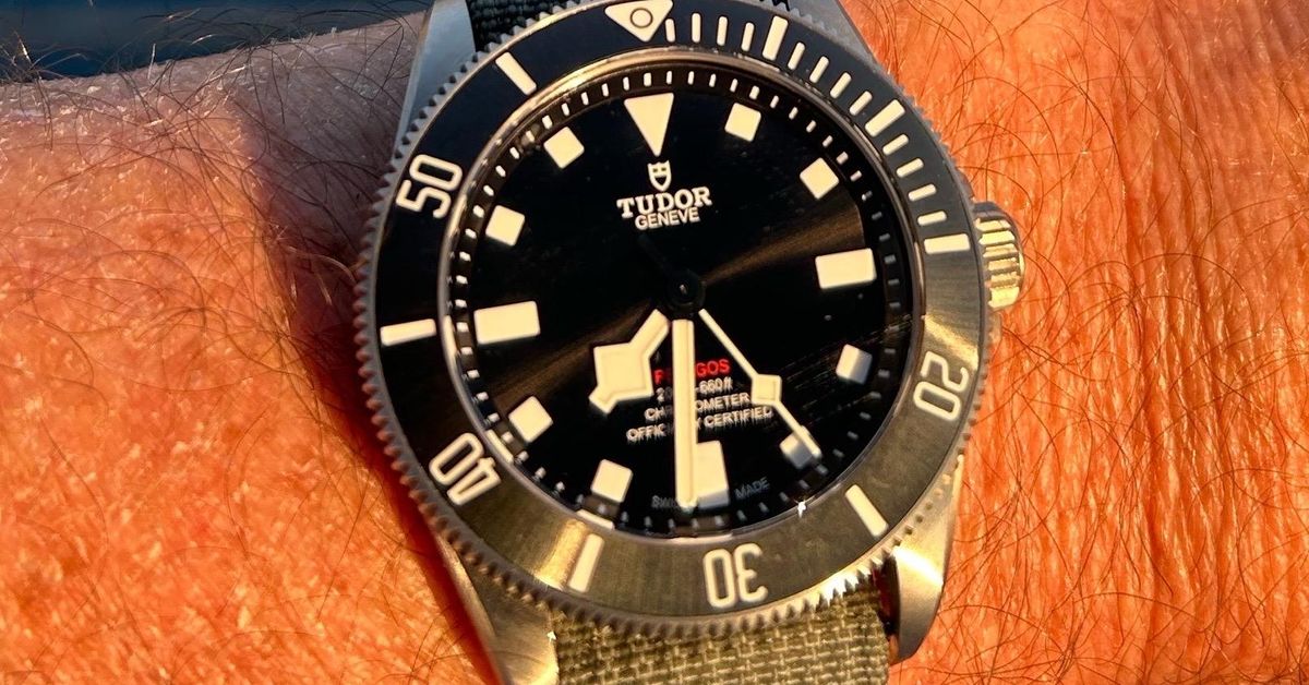 39mm Titanium Pelagos | WatchCrunch