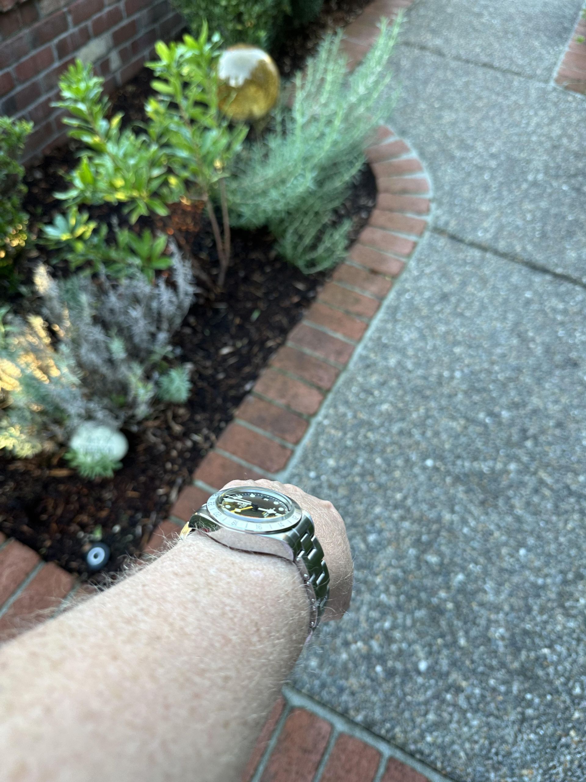 New Travel Watch | WatchCrunch