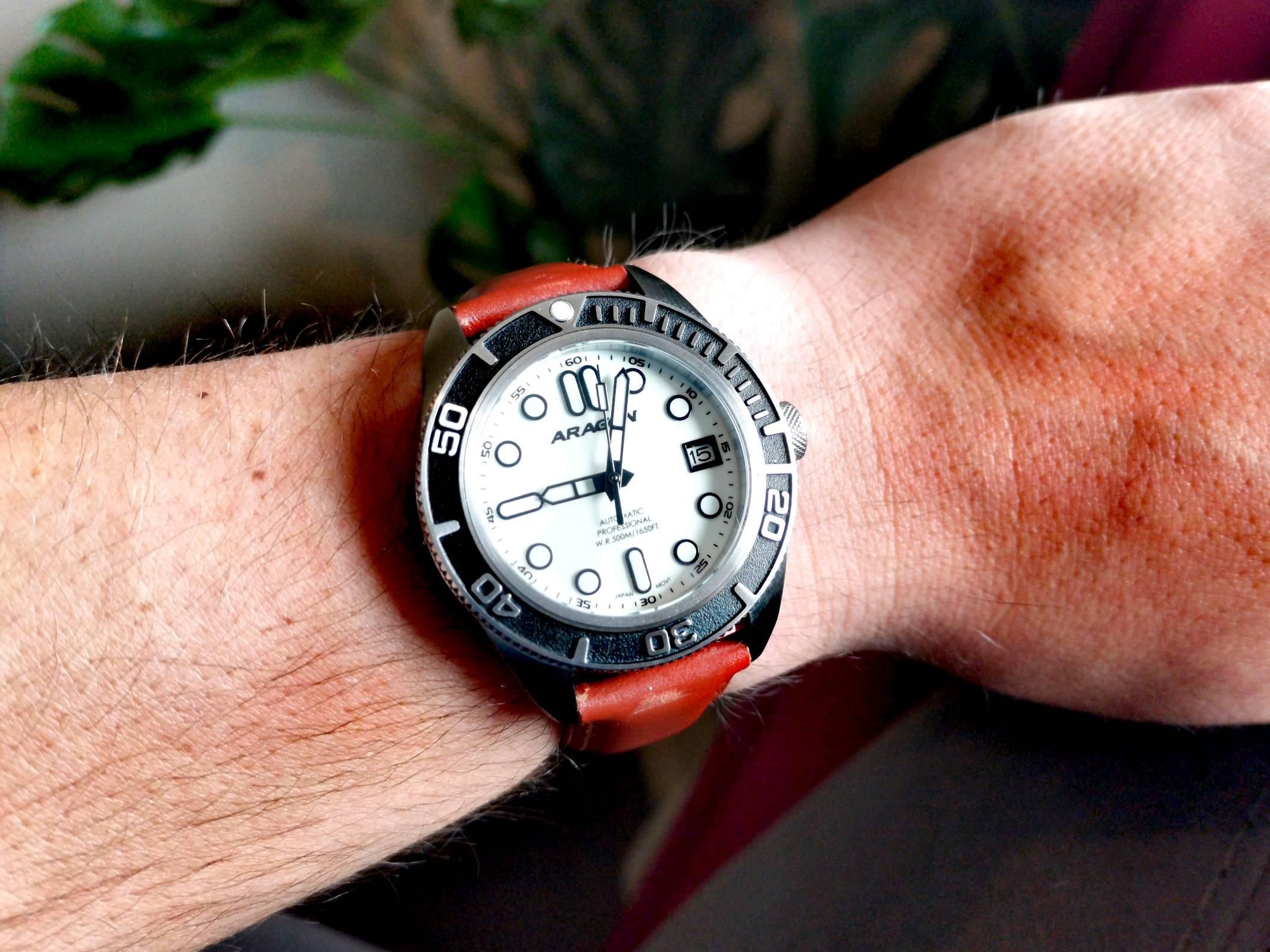The Equivalent of a Leather Wetsuit? 😂 | WatchCrunch