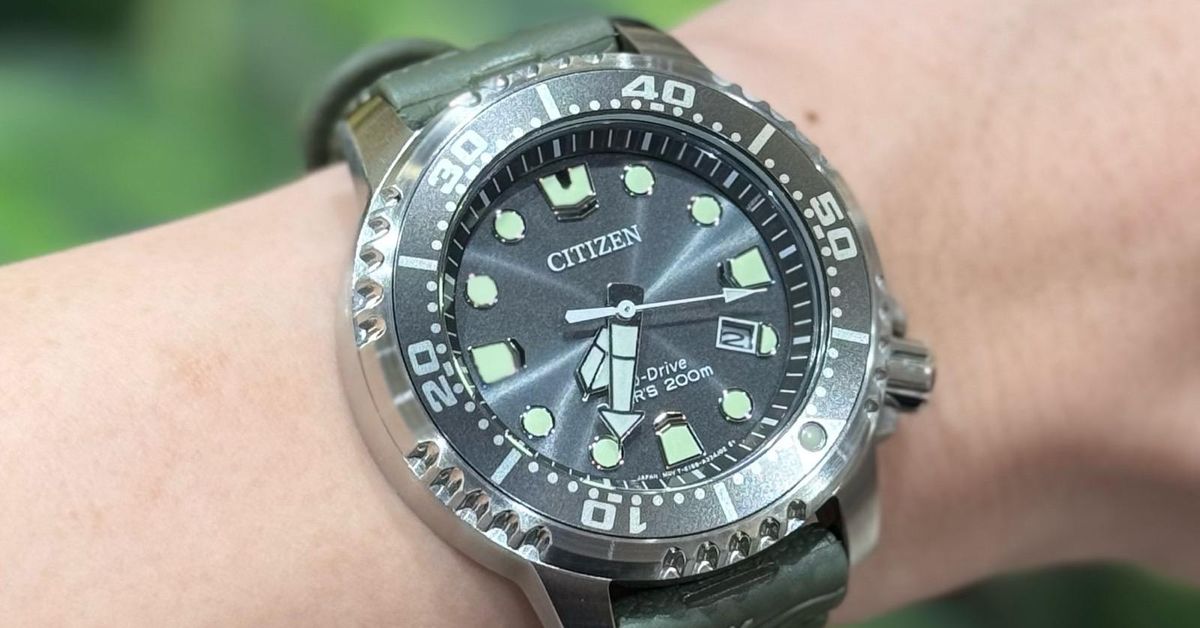 Citizen Promaster, My New Daily. | WatchCrunch