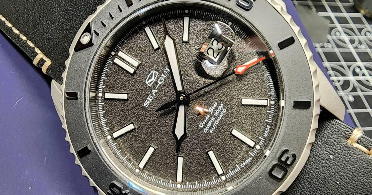 My first Seagull - mini review | WatchCrunch