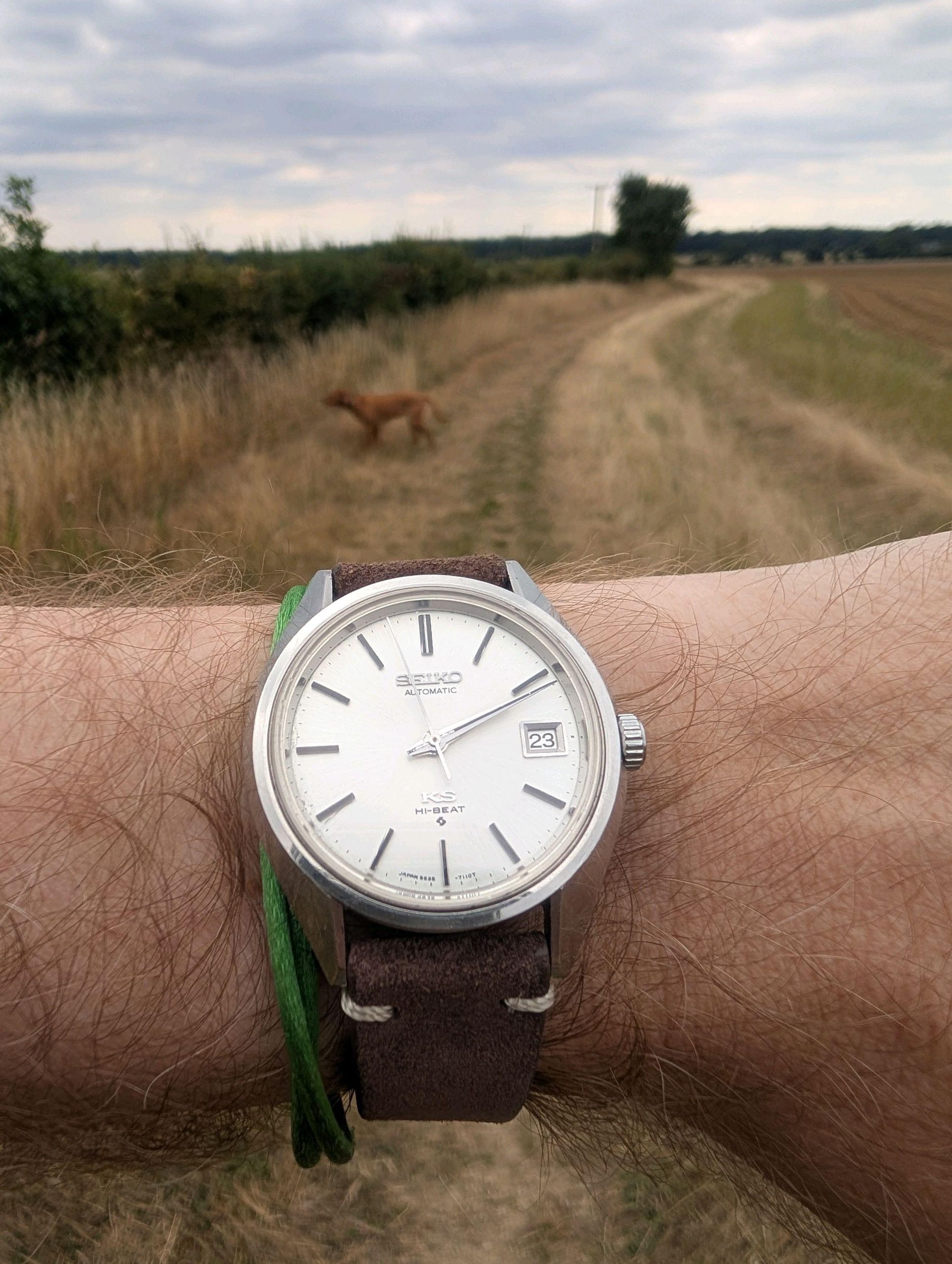 Wristcheck August 23, 2025 | WatchCrunch