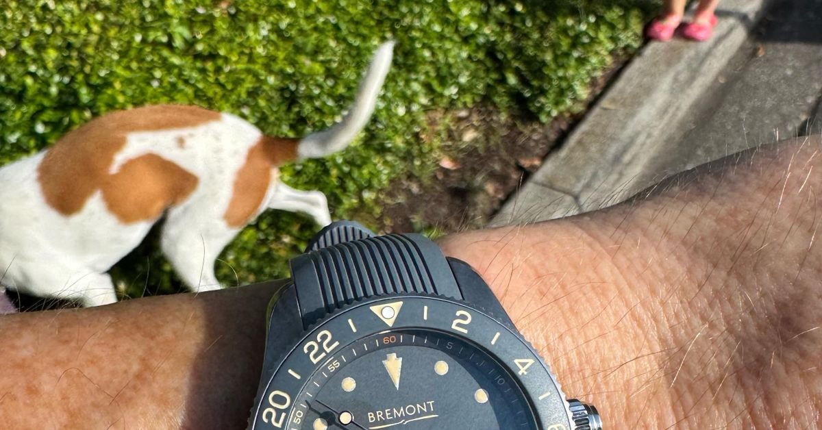 Wristcheck June 22, 2025 | WatchCrunch