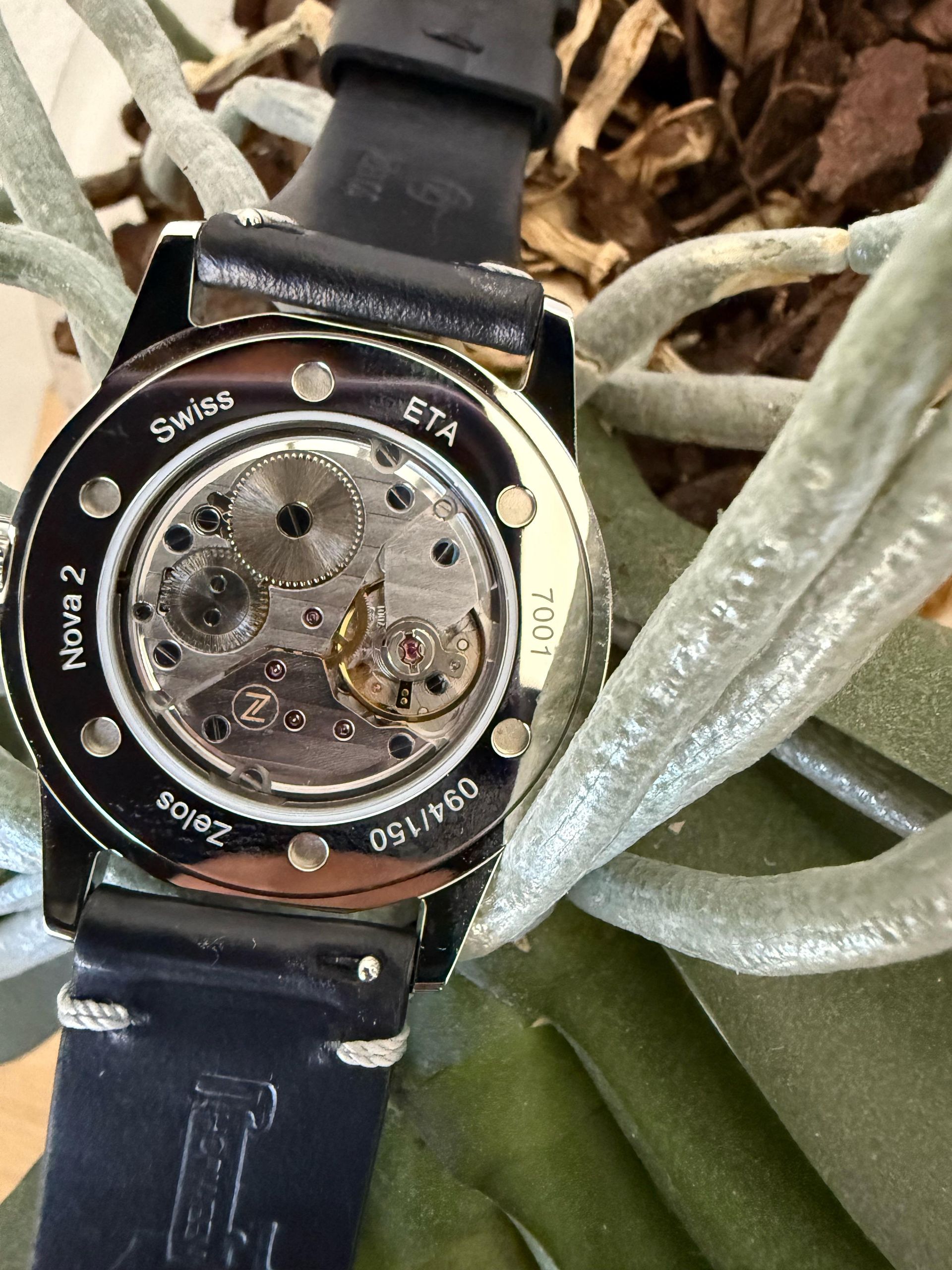 Beautiful dial! | WatchCrunch