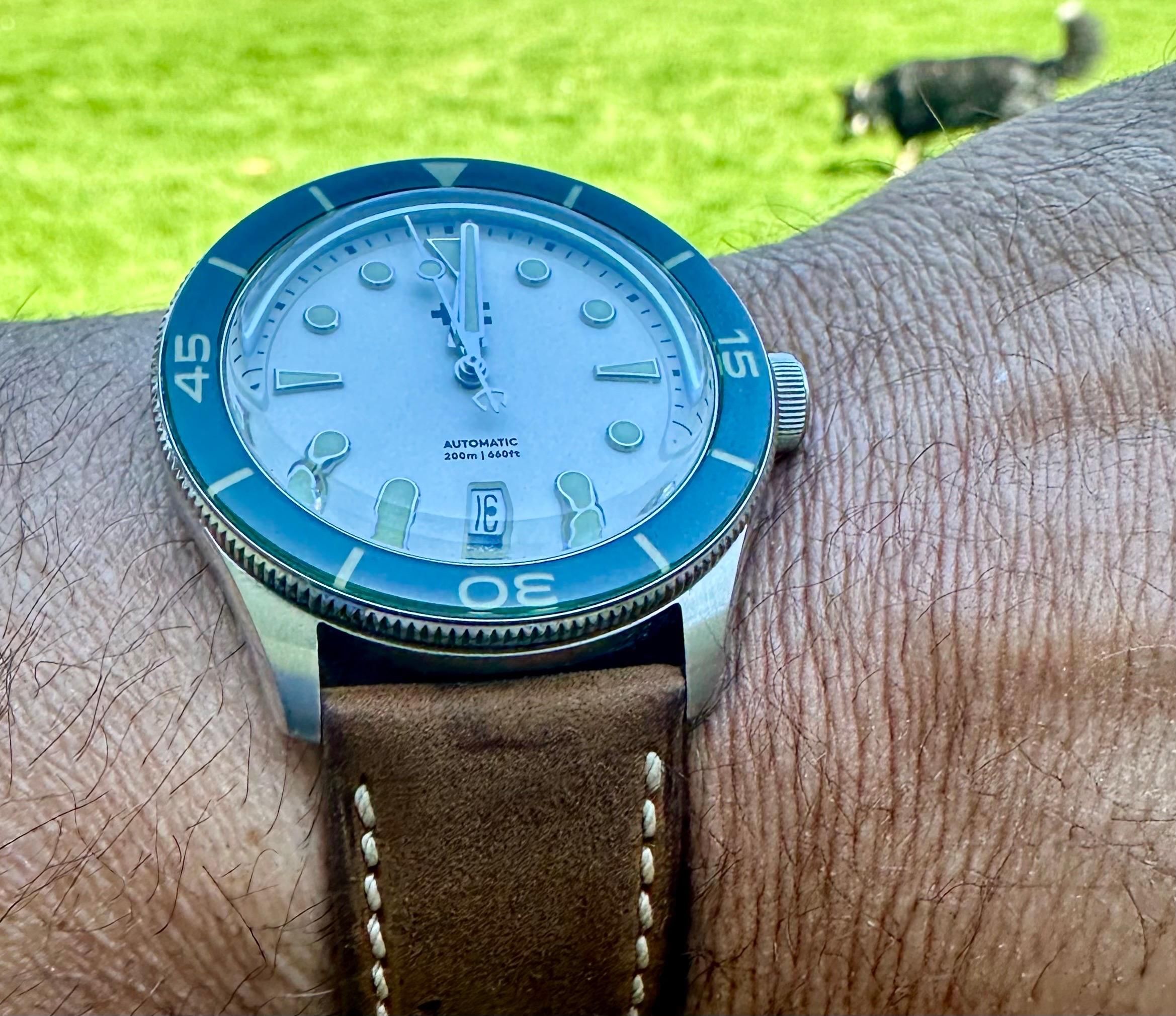 Beautiful Dial/Bezel combo. | WatchCrunch