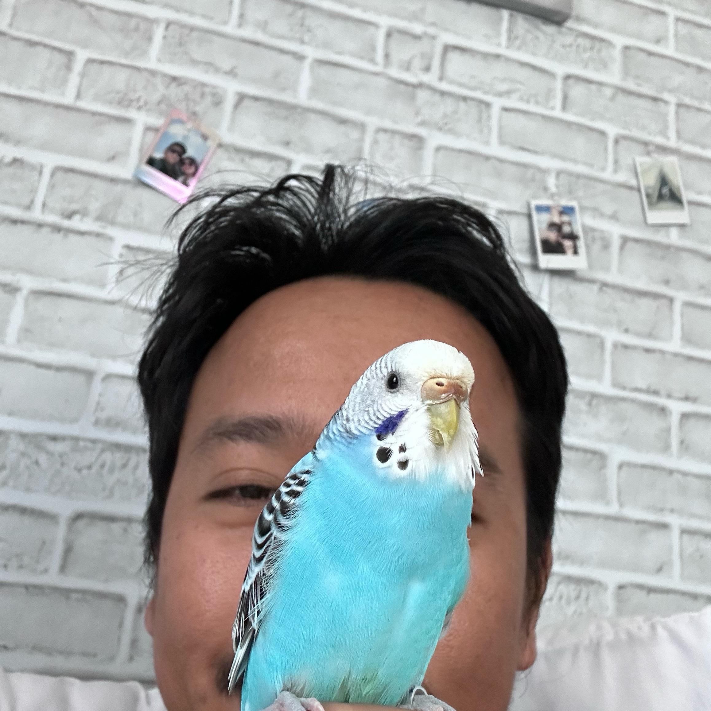 rickyneil28 | WatchCrunch
