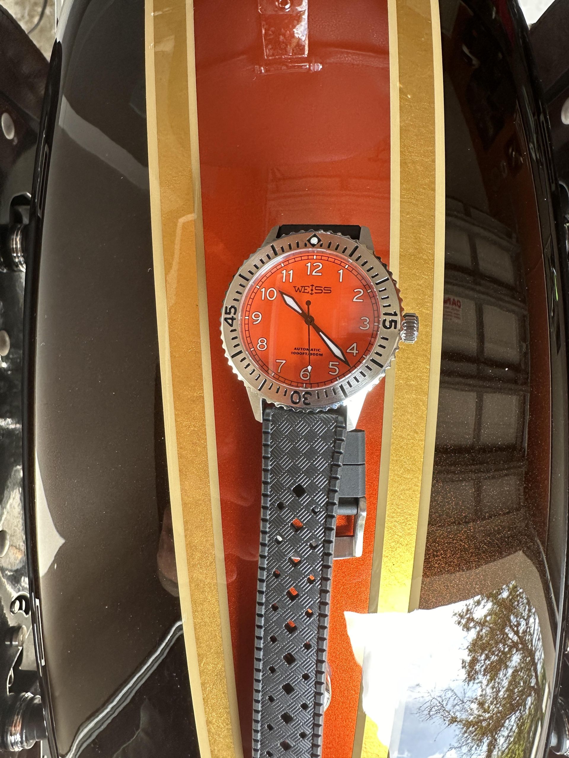 My brand new 42mm Weiss Dive Watch | WatchCrunch