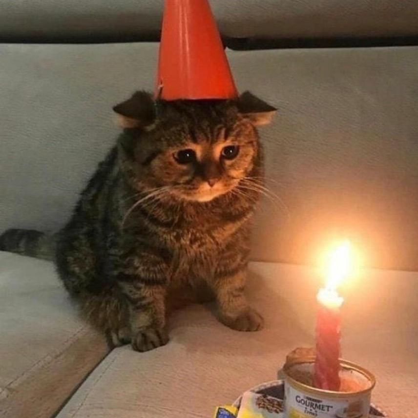 Meshari | WatchCrunch