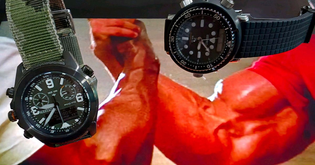 The Ultimate Action Hero Face-Off: "The Arnie" vs. "The Predator ...