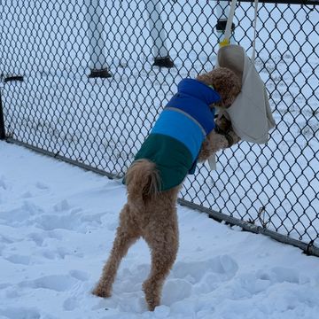 flaizen | WatchCrunch