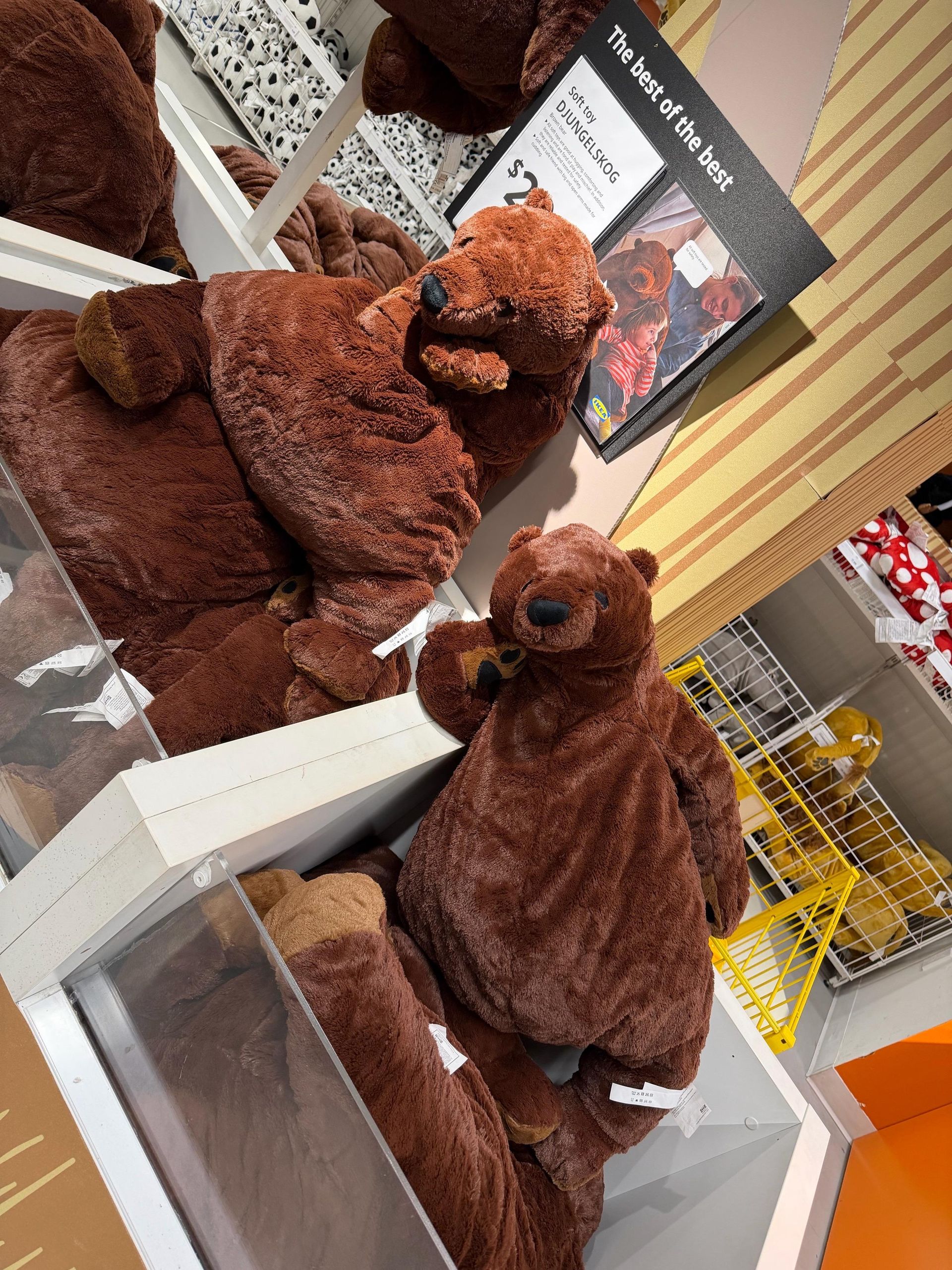 Fun times at IKEA & some random comic/Manga store with the wifey ...