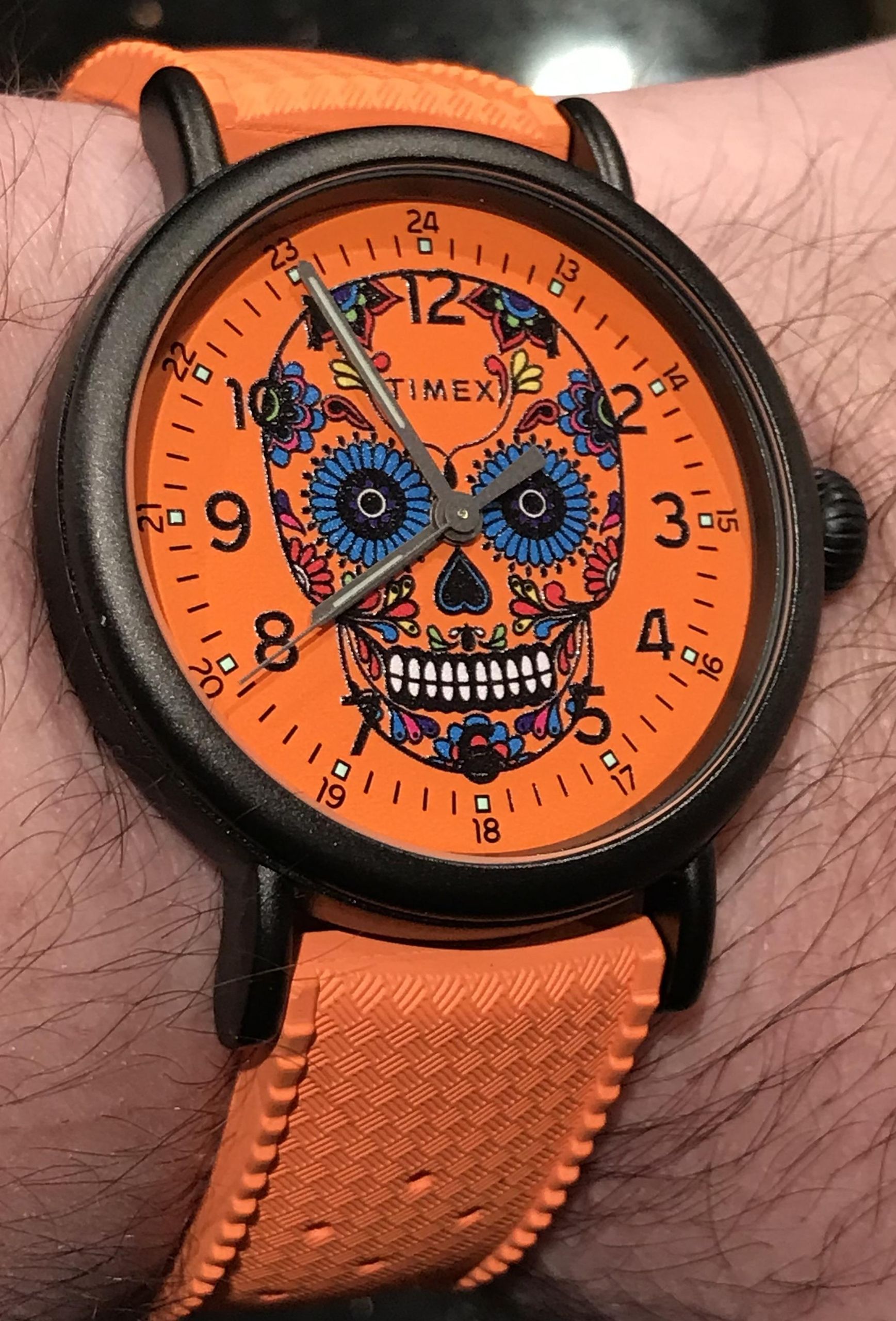 Who Loves Day of The Dead Watches? | WatchCrunch