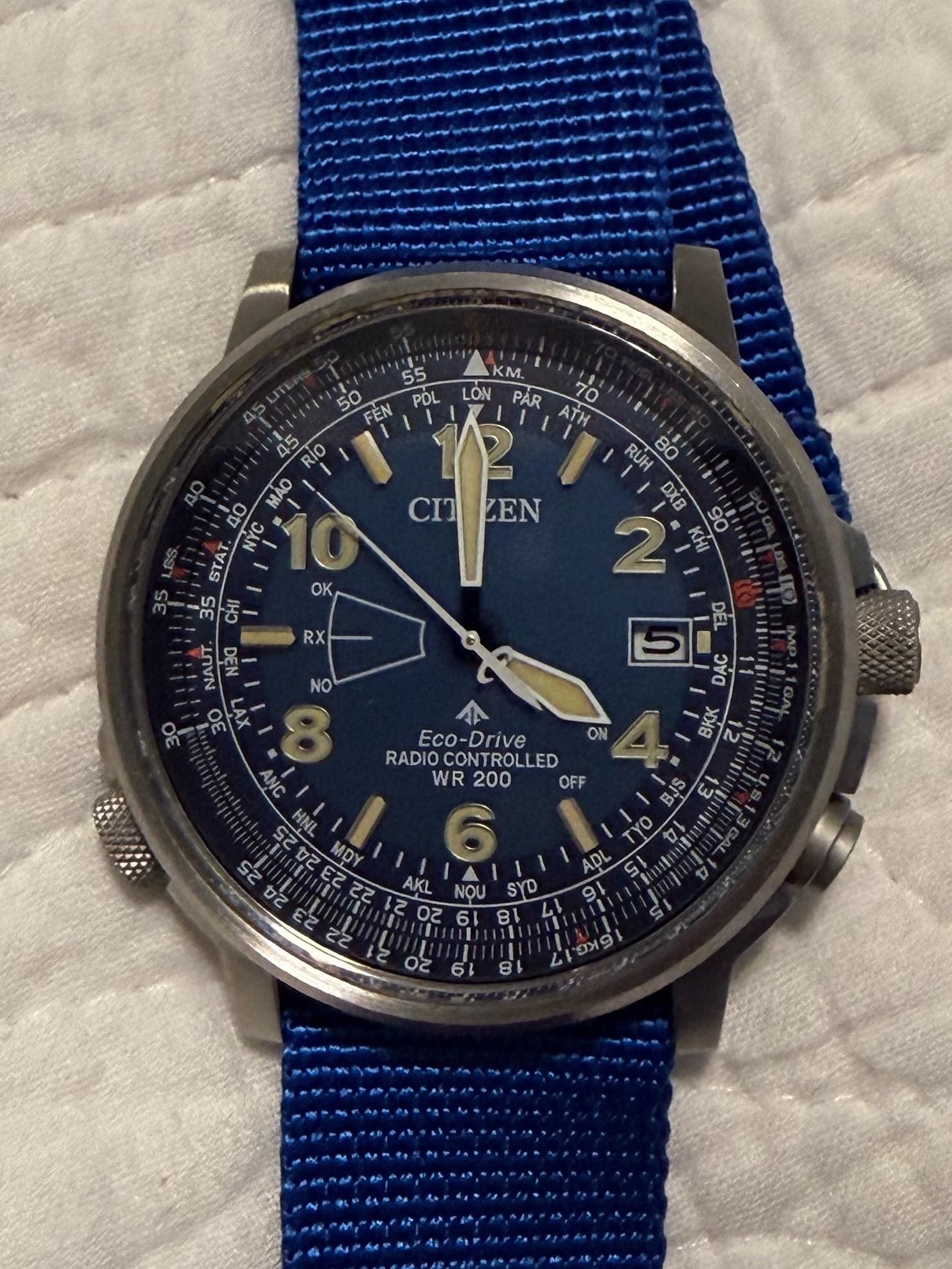 Citizen Promaster | WatchCrunch