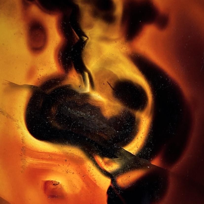 kill.zero | WatchCrunch