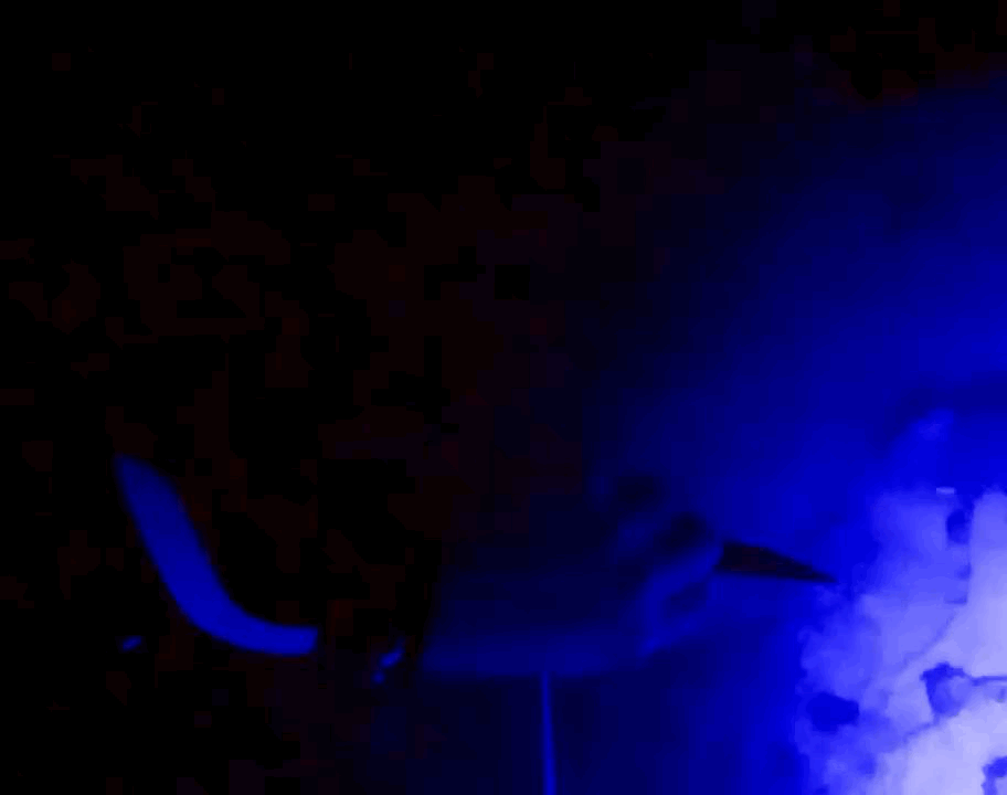 Wristcheck November 14, 2025 | WatchCrunch