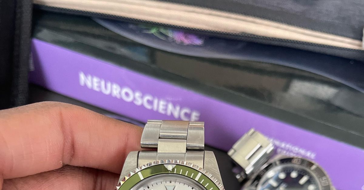 Introducing the Polar Kermit (AliExpress Build) | WatchCrunch