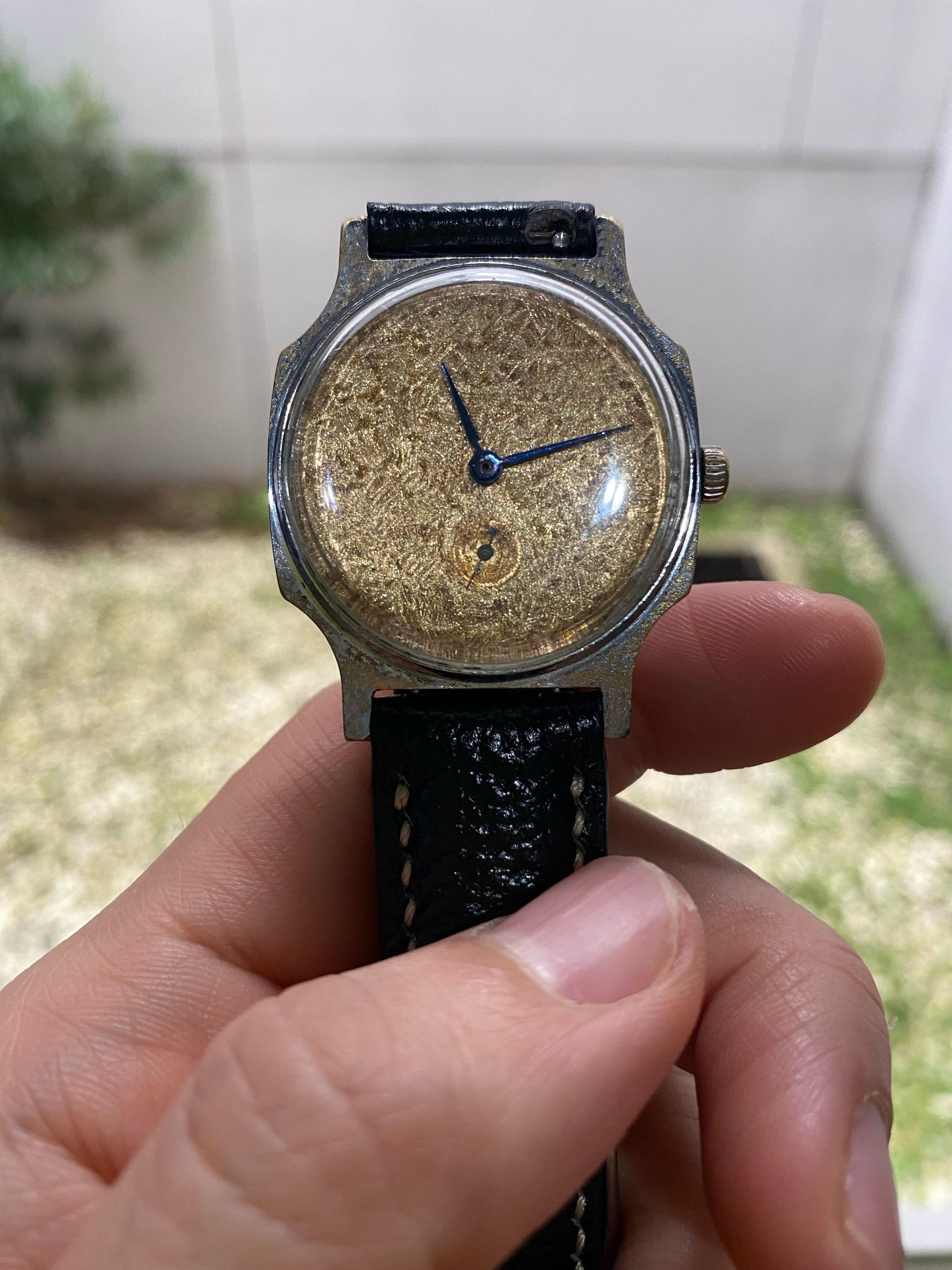 My newest project is done! | WatchCrunch