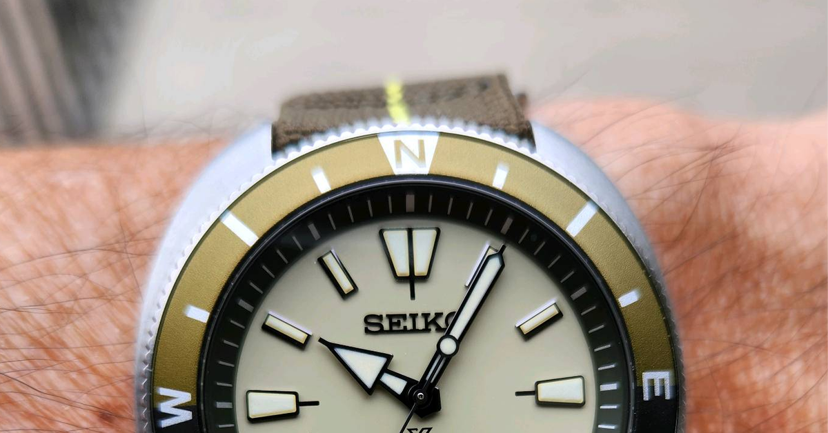Seiko Land Tortoise | WatchCrunch