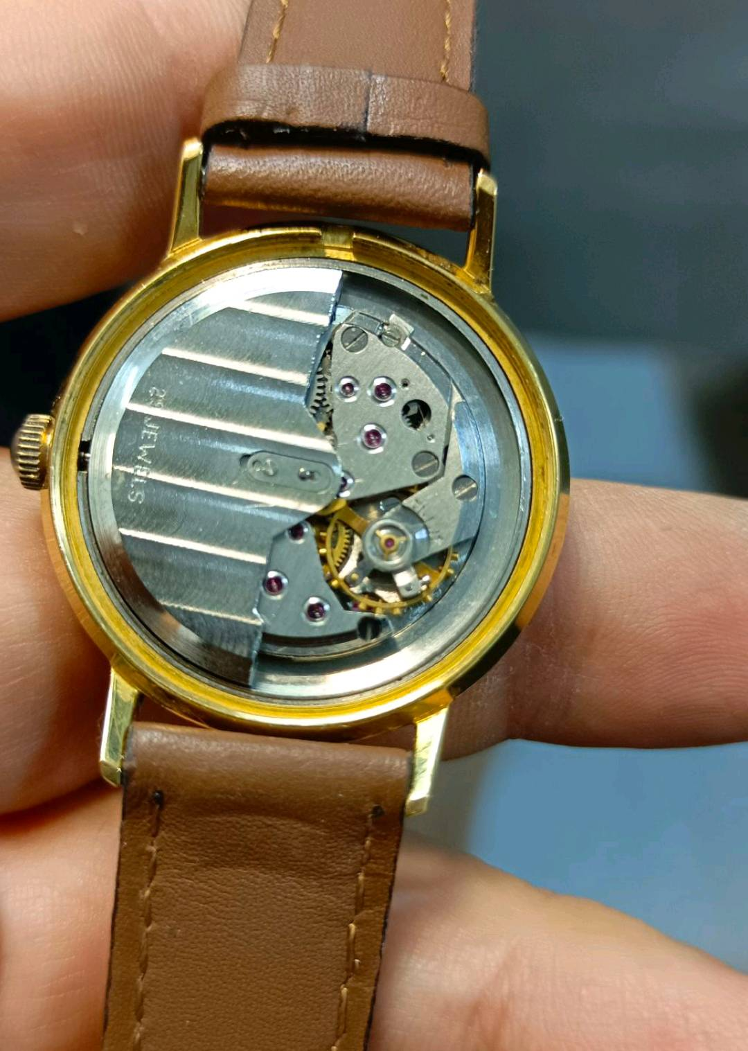 New addition coming | WatchCrunch