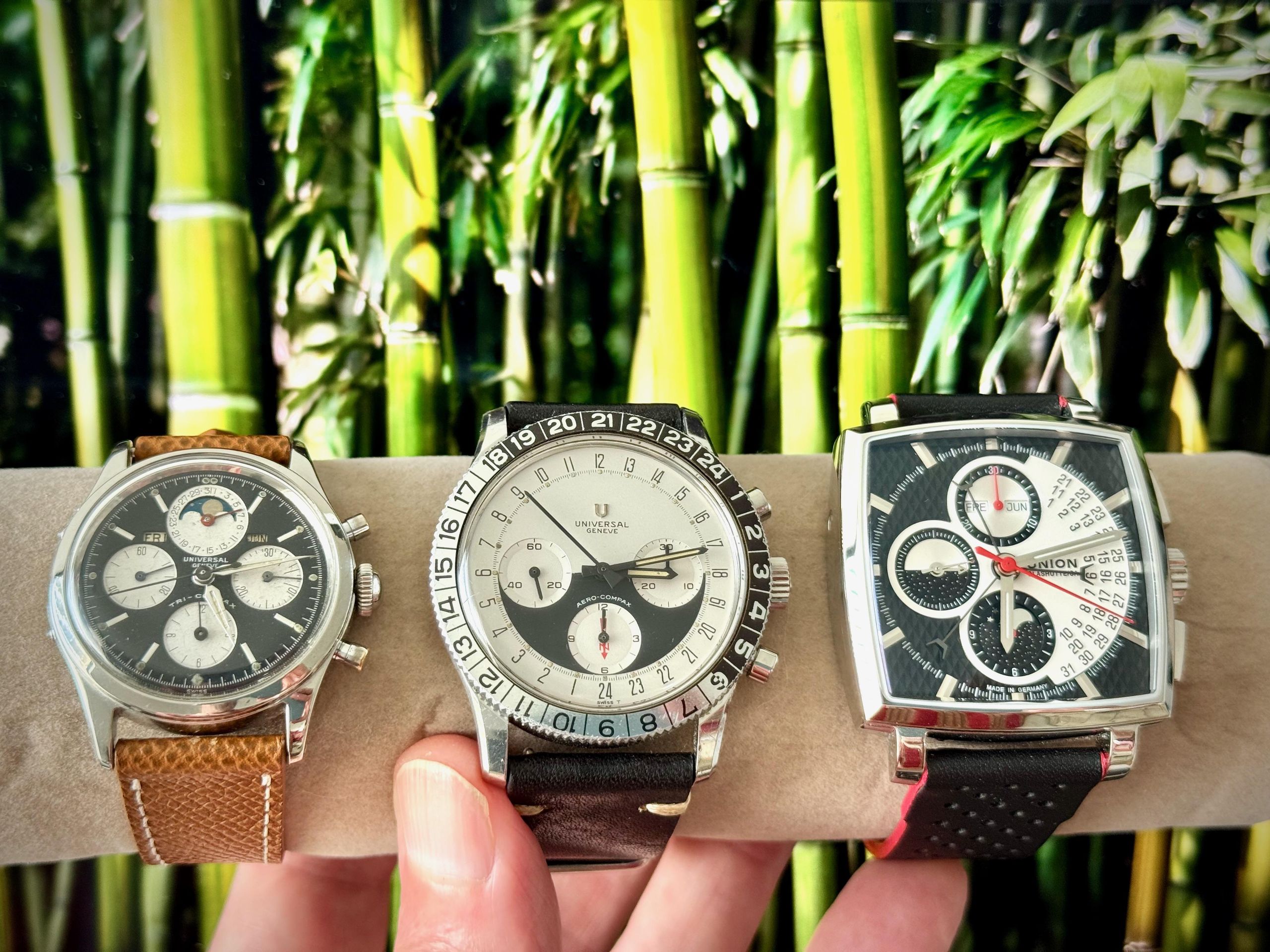 Panda evolution | WatchCrunch
