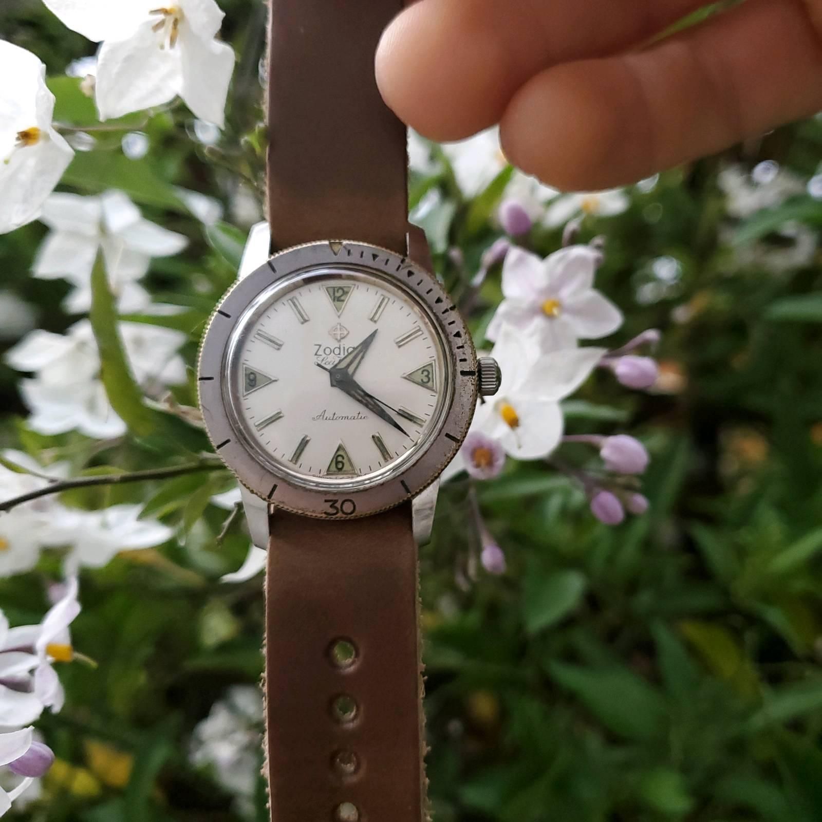 Vintage Zodiac SeaWolf | WatchCrunch