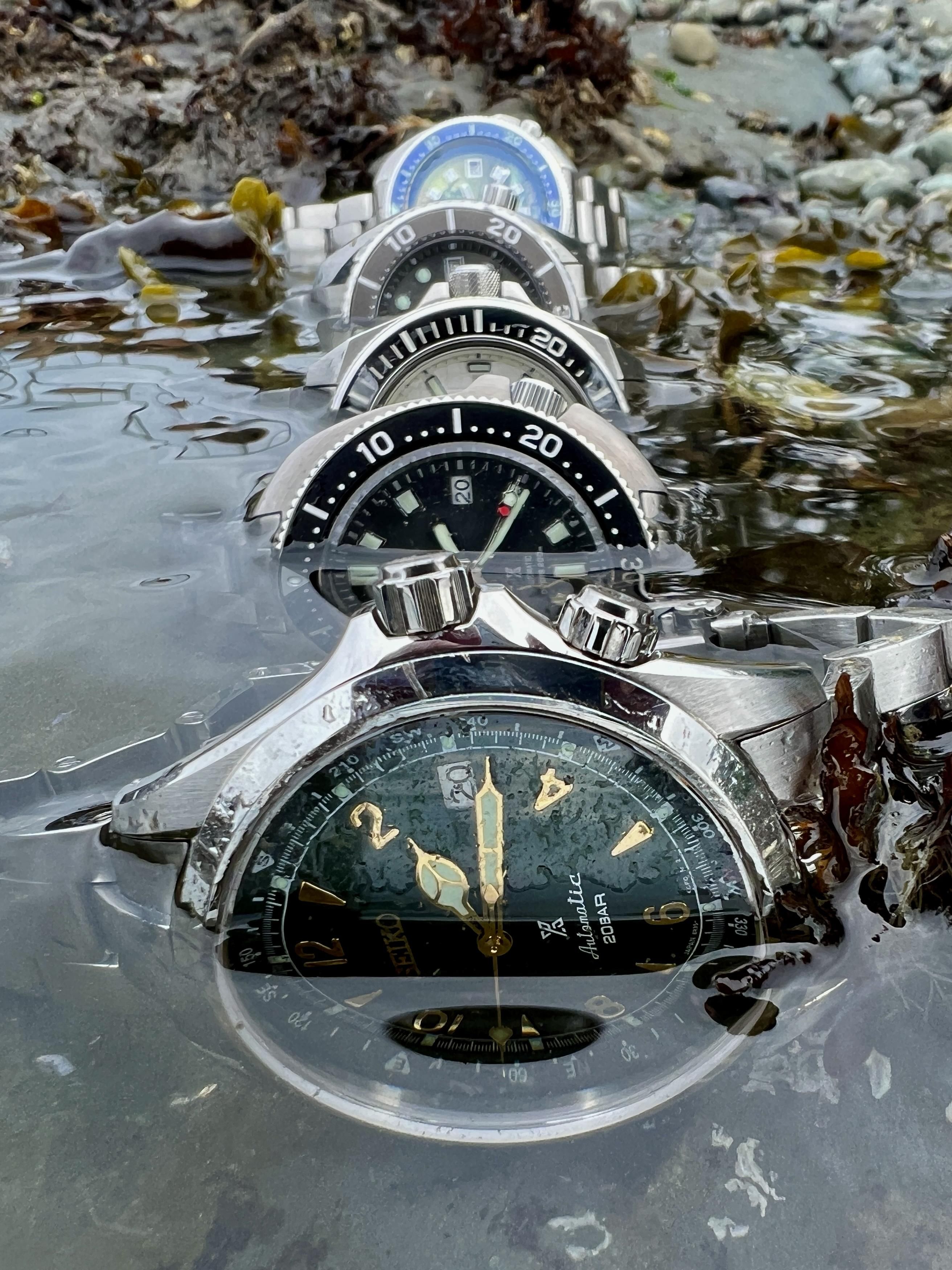 Seiko Alpinist SPB121 : One and done | WatchCrunch